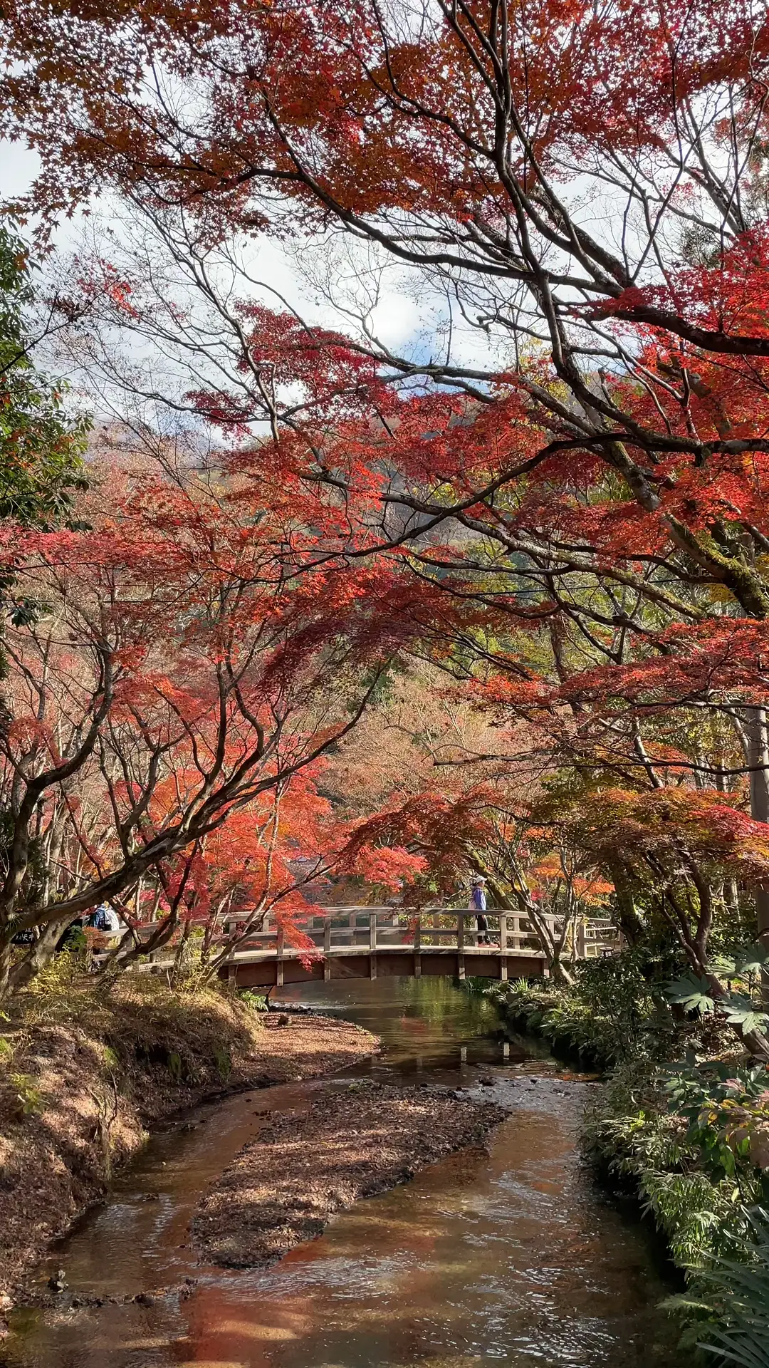 มุมไม่ลับก่อนถึง kirin lake | วิดีโอที่เผยแพร่โดย O’Ferdy | Lemon8