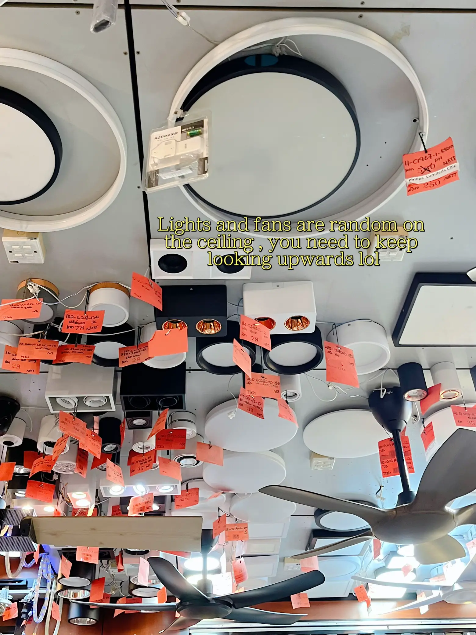 lights jb - Lemon8 Search