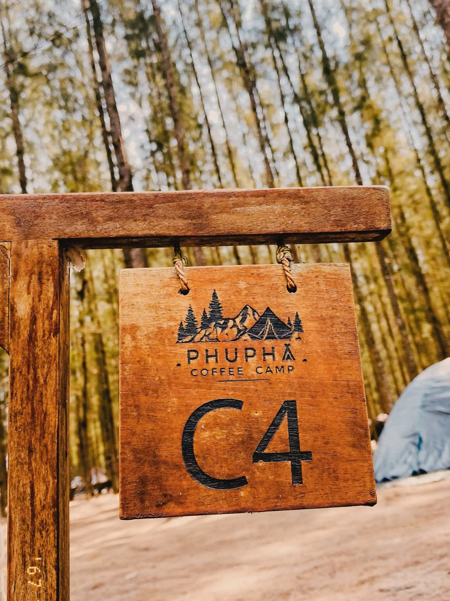 ป่าสน ราชบุรี Phupha Coffee camp🌲🪵 | แกลเลอรีที่โพสต์โดย 🦋น้ อ ง เ บ ล🌈 | Lemon8