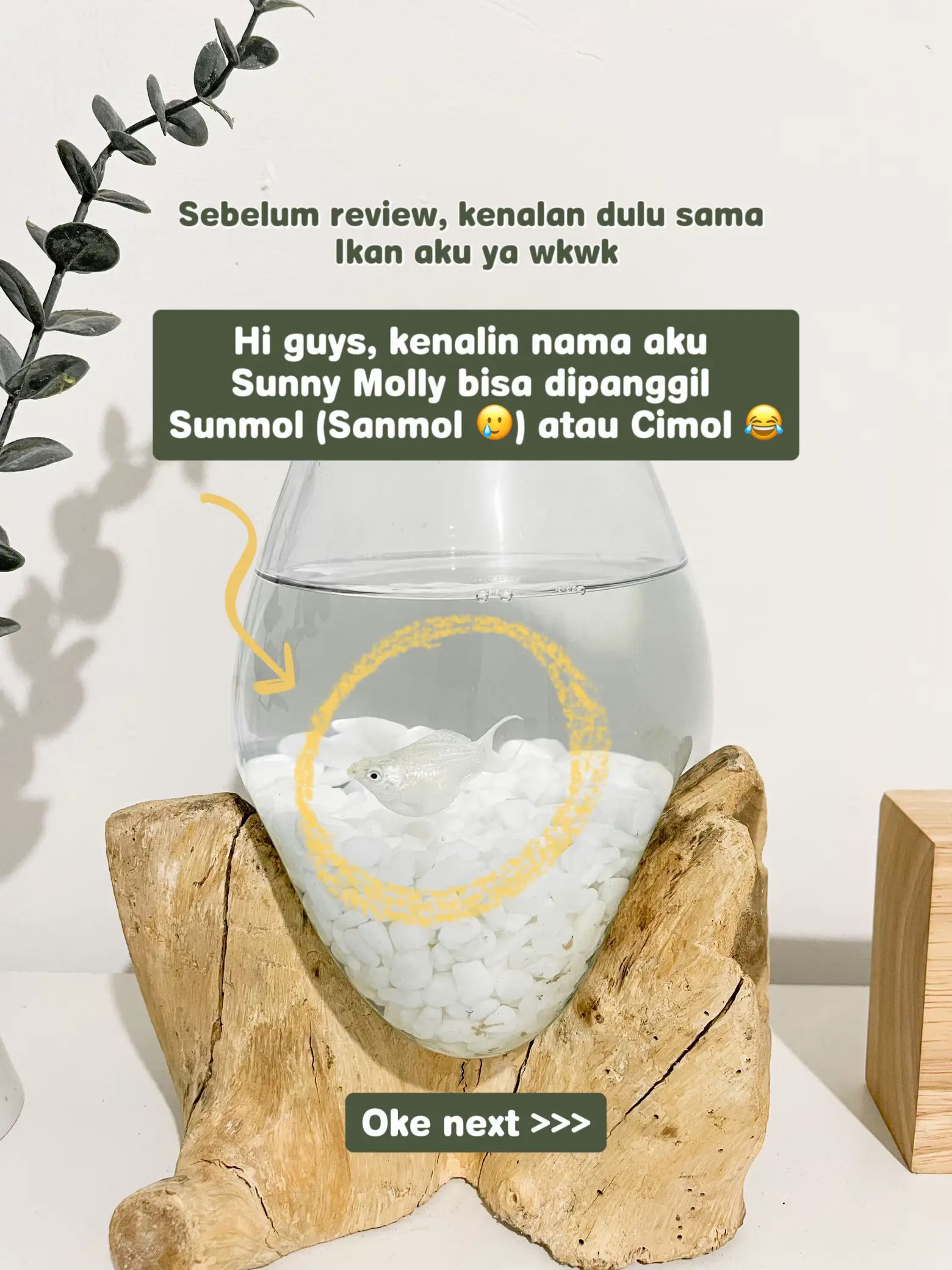 DEKORASI KAMAR PAKAI MINI AQUARIUM AESTHETIC 🐟 | แกลเลอรีที่โพสต์โดย ...