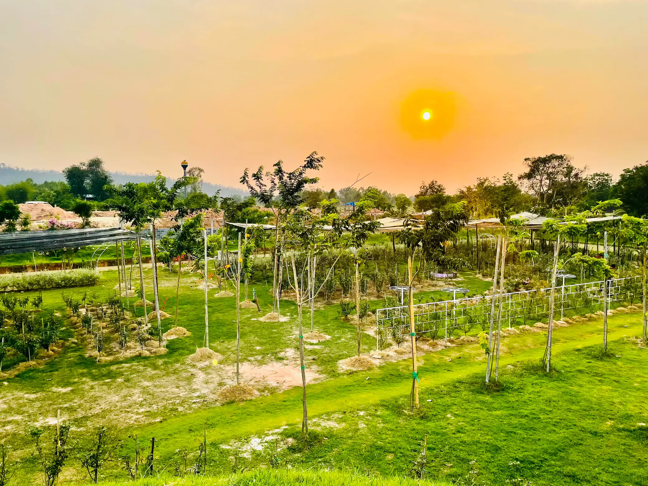 72 high view คาเฟ่ จ.สระบุรี 🌷🌄 | แกลเลอรีที่โพสต์โดย Wander_Ploy | Lemon8