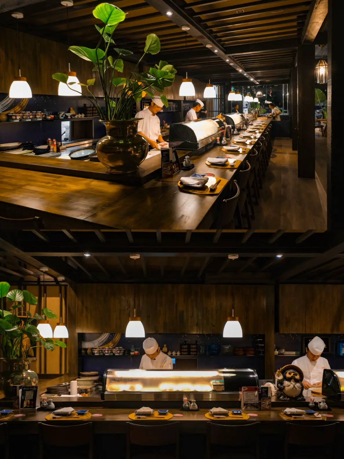 HIKO SUSHI ร้านอาหารญี่ปุ่นสุขุมวิท ที่น่าไปลอง ☺️🇯🇵🍣 | แกลเลอรีที่ ...