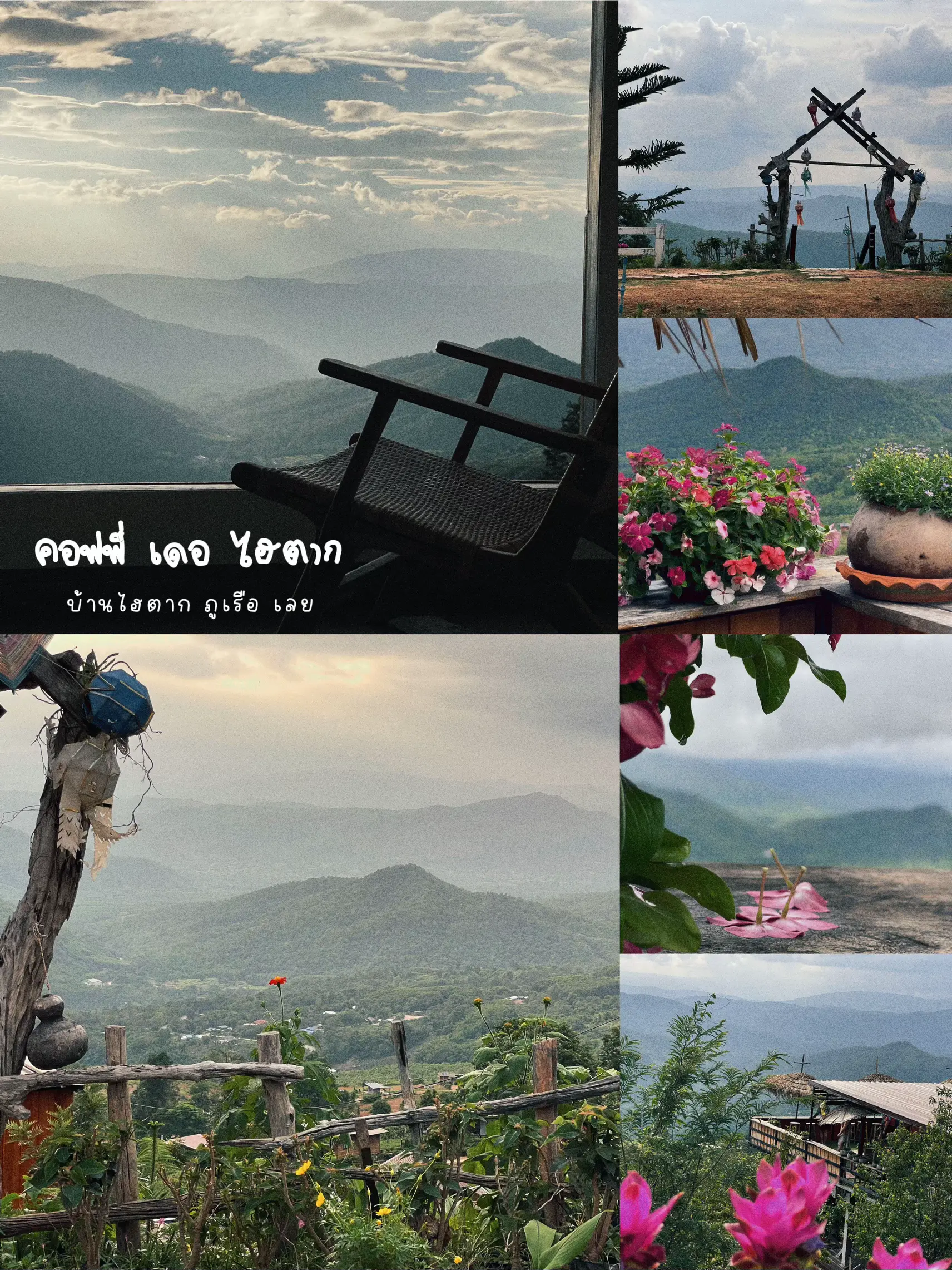 พักผ่อนกันบ้างนะ Coffee De Hai | แกลเลอรีที่โพสต์โดย North Watcharin | Lemon8