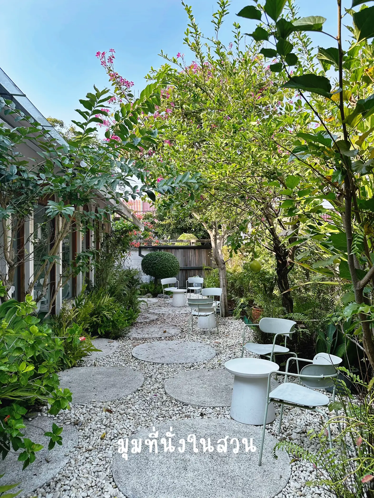 Lay Low ไอศกรีม organic ในบ้านหลังสวย🍦 | แกลเลอรีที่โพสต์โดย tanhnanchya | Lemon8