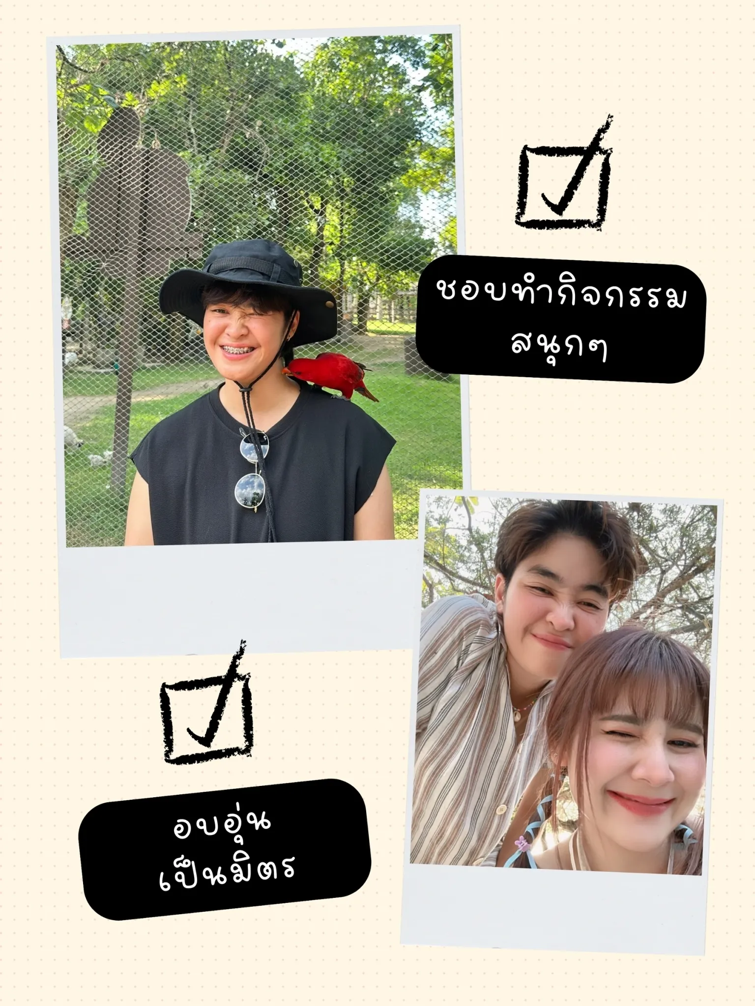 ️ เช็คลิสต์ แฟนไทป์โกลเด้น และ วิธีดูแลน้องหมา 🐶💕 | แกลเลอรีที่โพสต์โดย ...