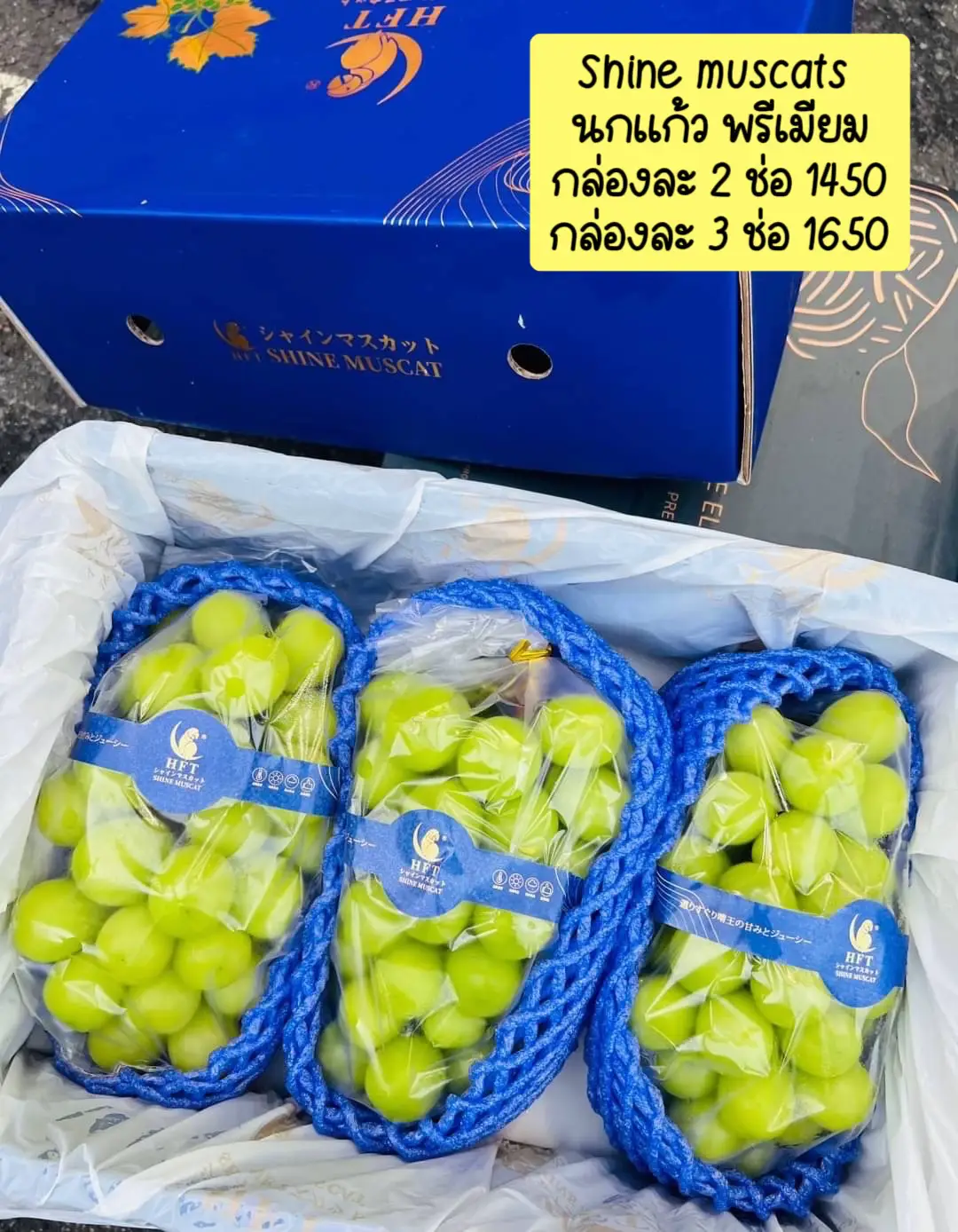 Shine musc | แกลเลอรีที่โพสต์โดย Chidsuan | Lemon8