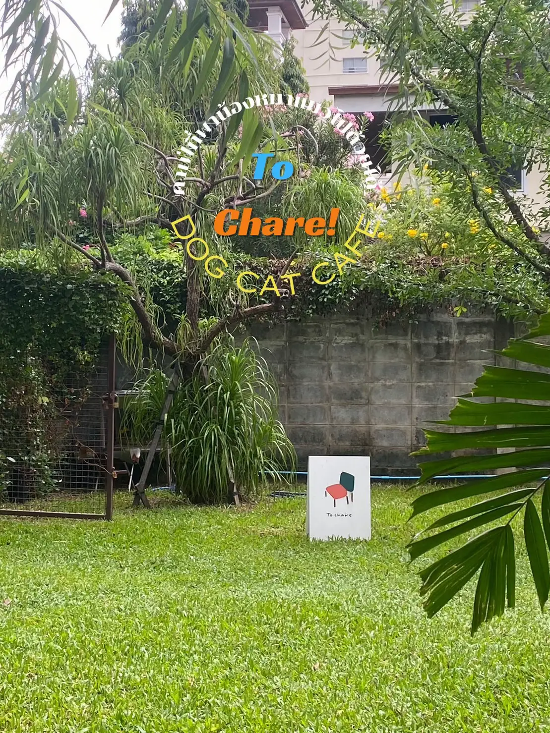 To Chare 🫧ถนนสุทธิสารวินิจฉัย Pet Friendly 🐶 | แกลเลอรีที่โพสต์โดย ...