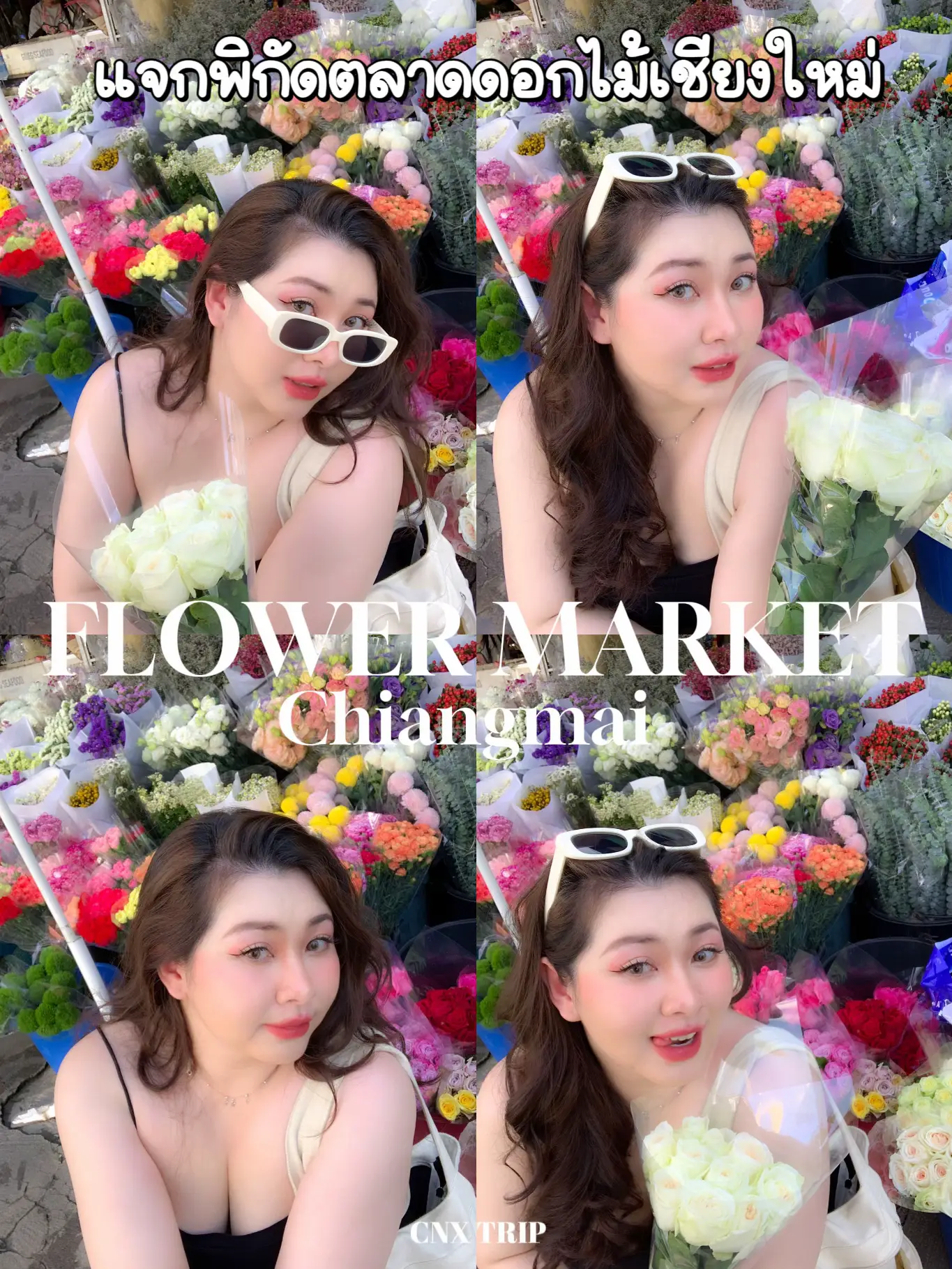 💐แจกพิกัดตลาดดอกไม้เชียงใหม่ | แกลเลอรีที่โพสต์โดย Yokmoki | Lemon8