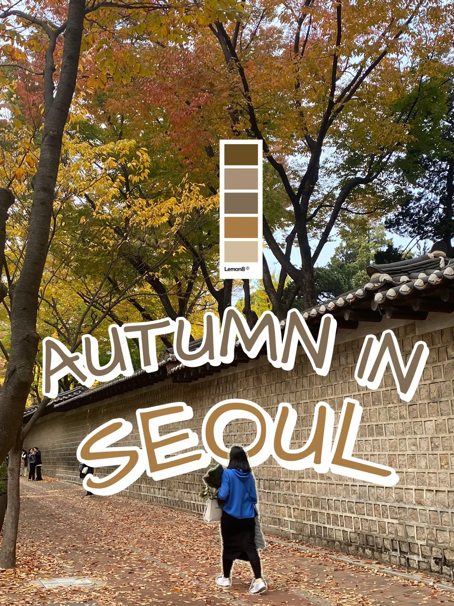 Journey palette ep.3 | falling in SEOUL | แกลเลอรีที่โพสต์โดย takexp | Lemon8