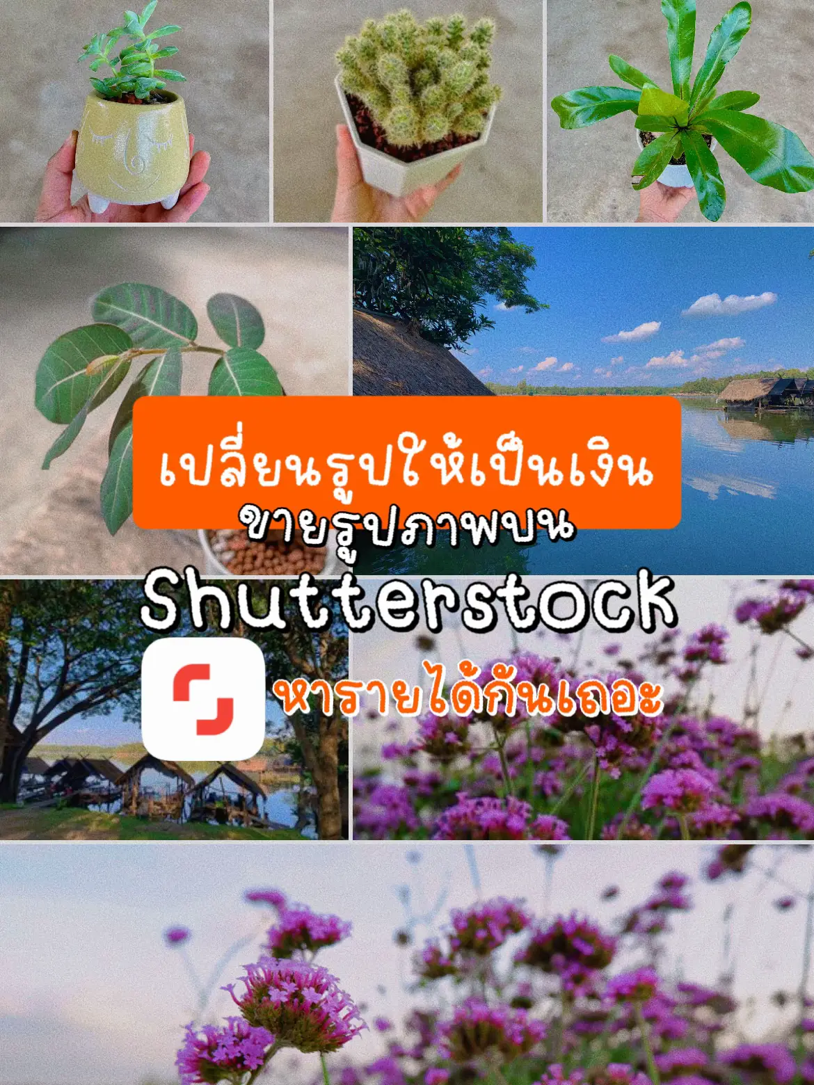 “เปลี่ยนรูปให้เป็นเงิน” | ขายรูปภาพ ShutterStock | แกลเลอรีที่โพสต์โดย Nook29nc | Lemon8
