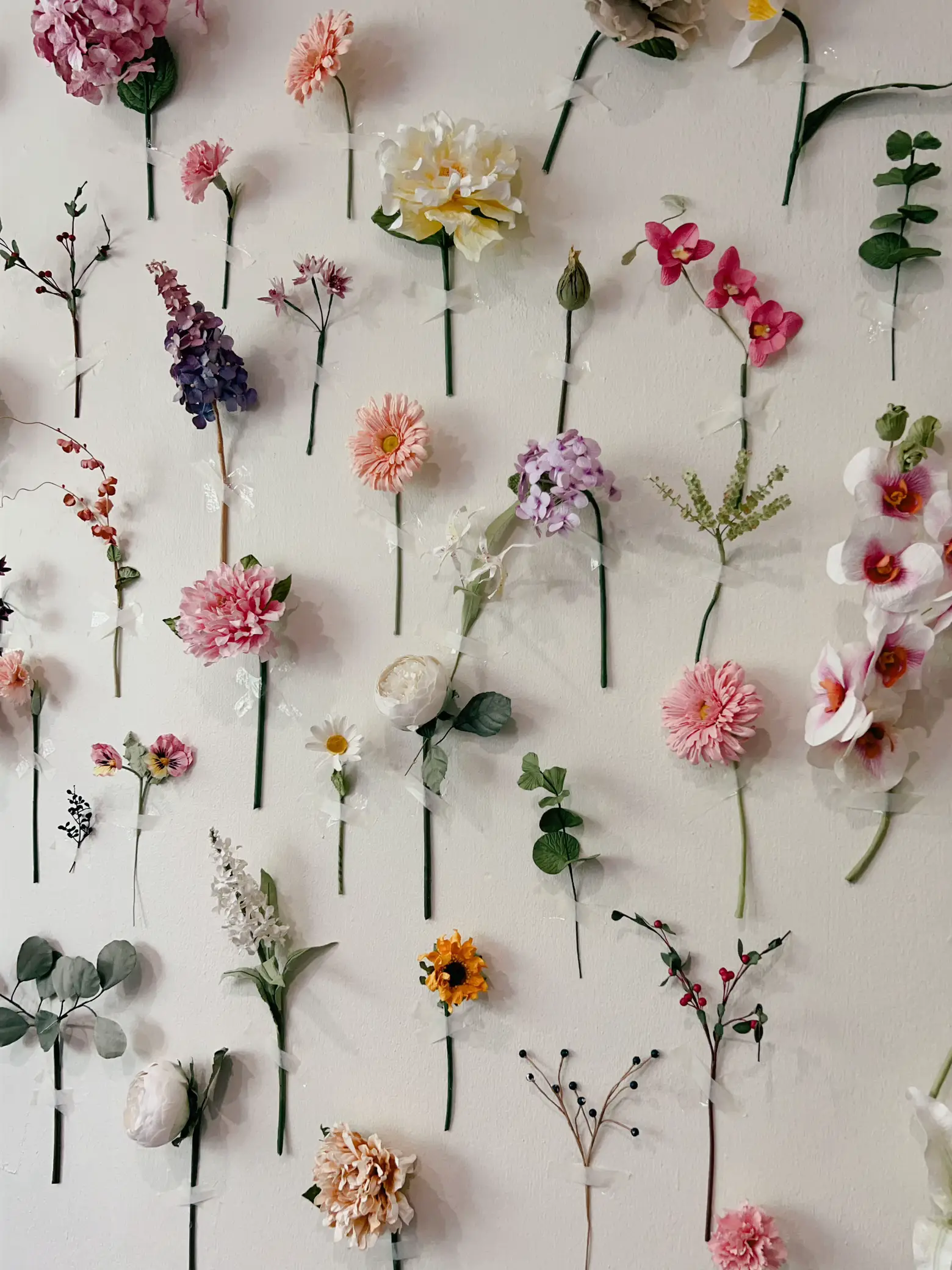 ProCCD แอพกล้อง(ดิจิตอล)ที่เริ่ดสุดๆ😘 | แกลเลอรีที่โพสต์โดย Saifon | Lemon8