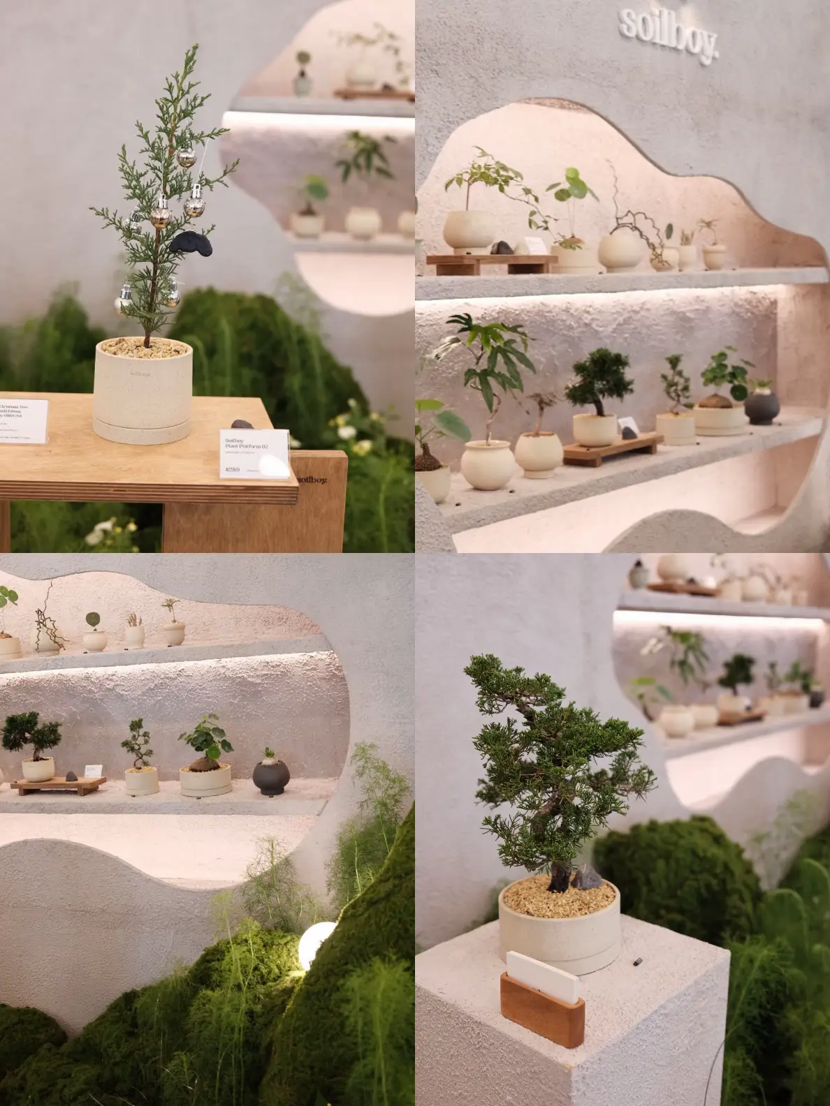 Share about your favourite local brands ♥️ | แกลเลอรีที่โพสต์โดย Yi | Lemon8