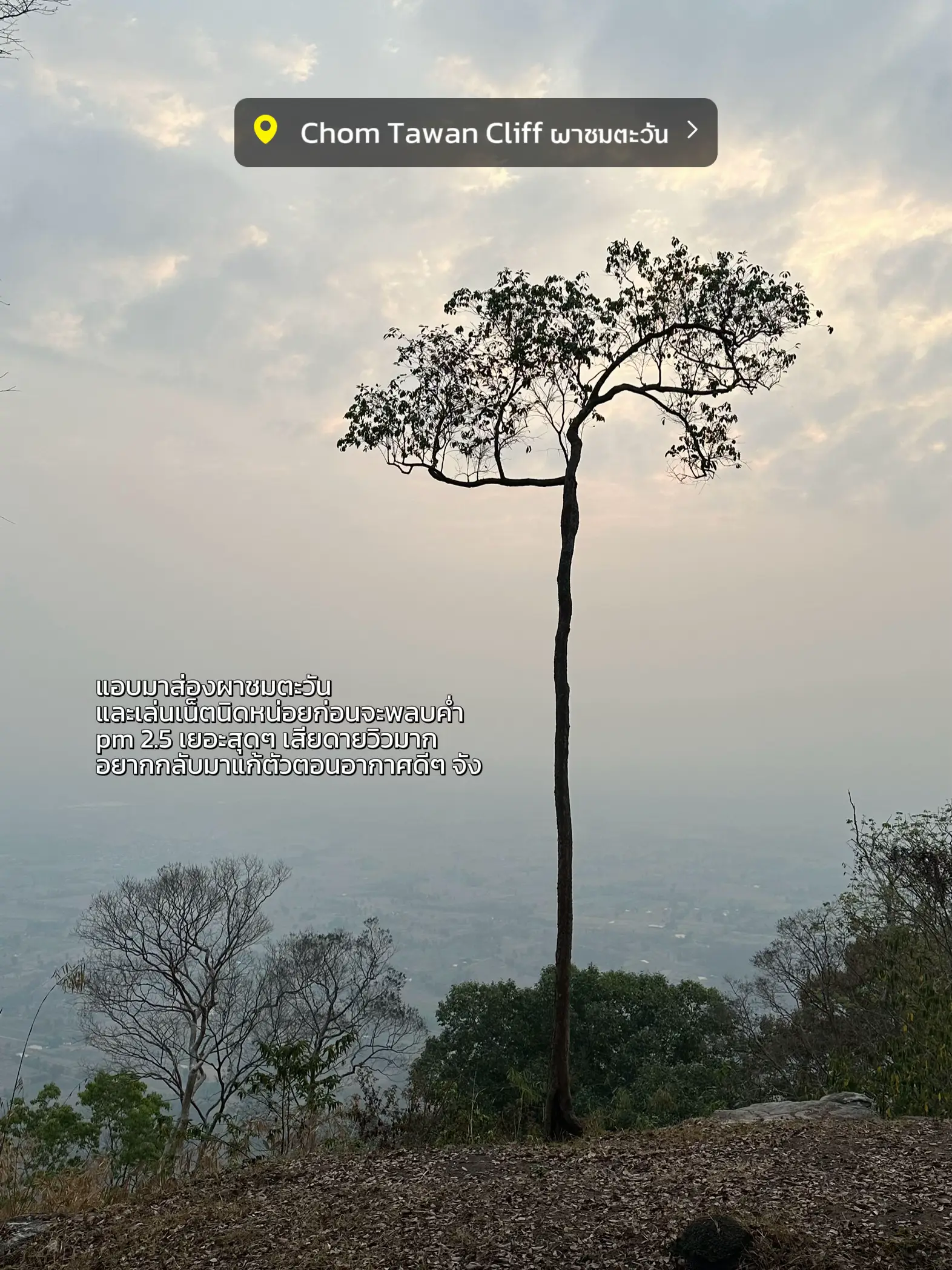 เที่ยวขอนแก่น D2 — มุ่งสู่อุทยานแห่งชาติภูเวียง แวะคาเฟ่สุดเท่ | แกลเลอรีที่โพสต์โดย Bajaree.wk ...