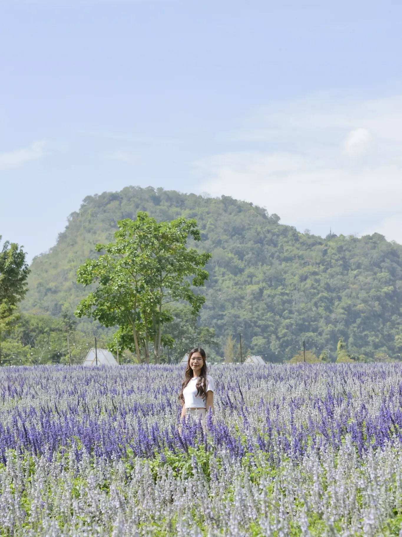 Secret Flower KhaoYai คาเฟ่ดอกไม้เขาใหญ่ | แกลเลอรีที่โพสต์โดย Ploy Kun | Lemon8