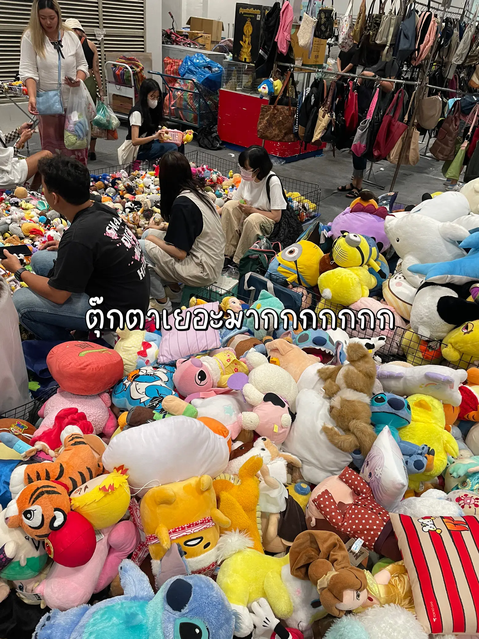 ตลาดนัดมือสอง พันทิพย์งามวงศ์วาน | แกลเลอรีที่โพสต์โดย Beamii🎄 | Lemon8