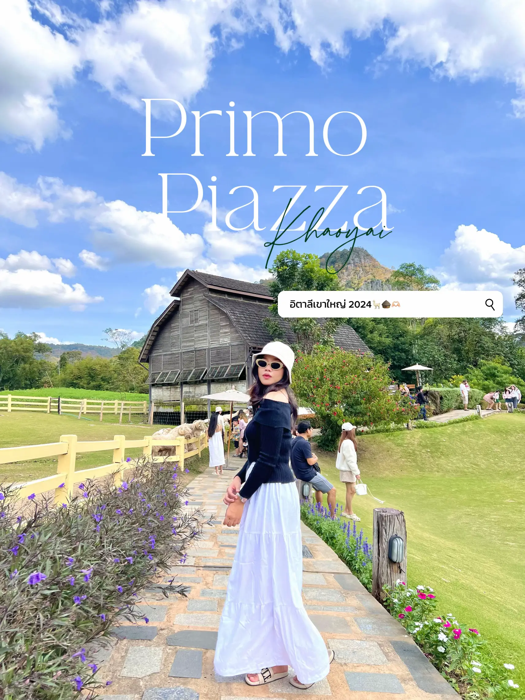 Primo Piazza khaoyai 🦙🛖🫶🏻 | แกลเลอรีที่โพสต์โดย หน่องกวา 🥒 | Lemon8
