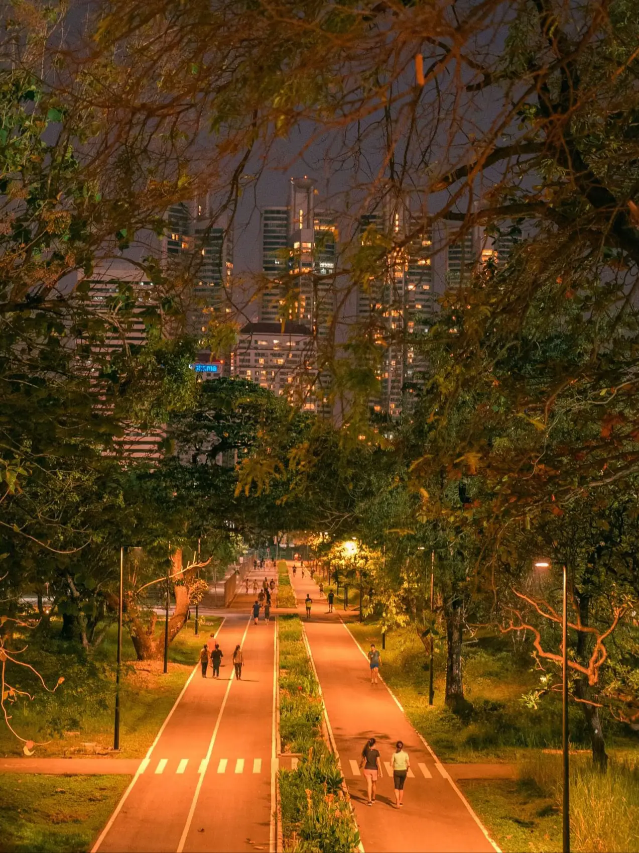 สวนเบญจกิติ ยามค่ำคืนสุดโรแมนติก 🌙🌃 ️ | แกลเลอรีที่โพสต์โดย lbzero | Lemon8