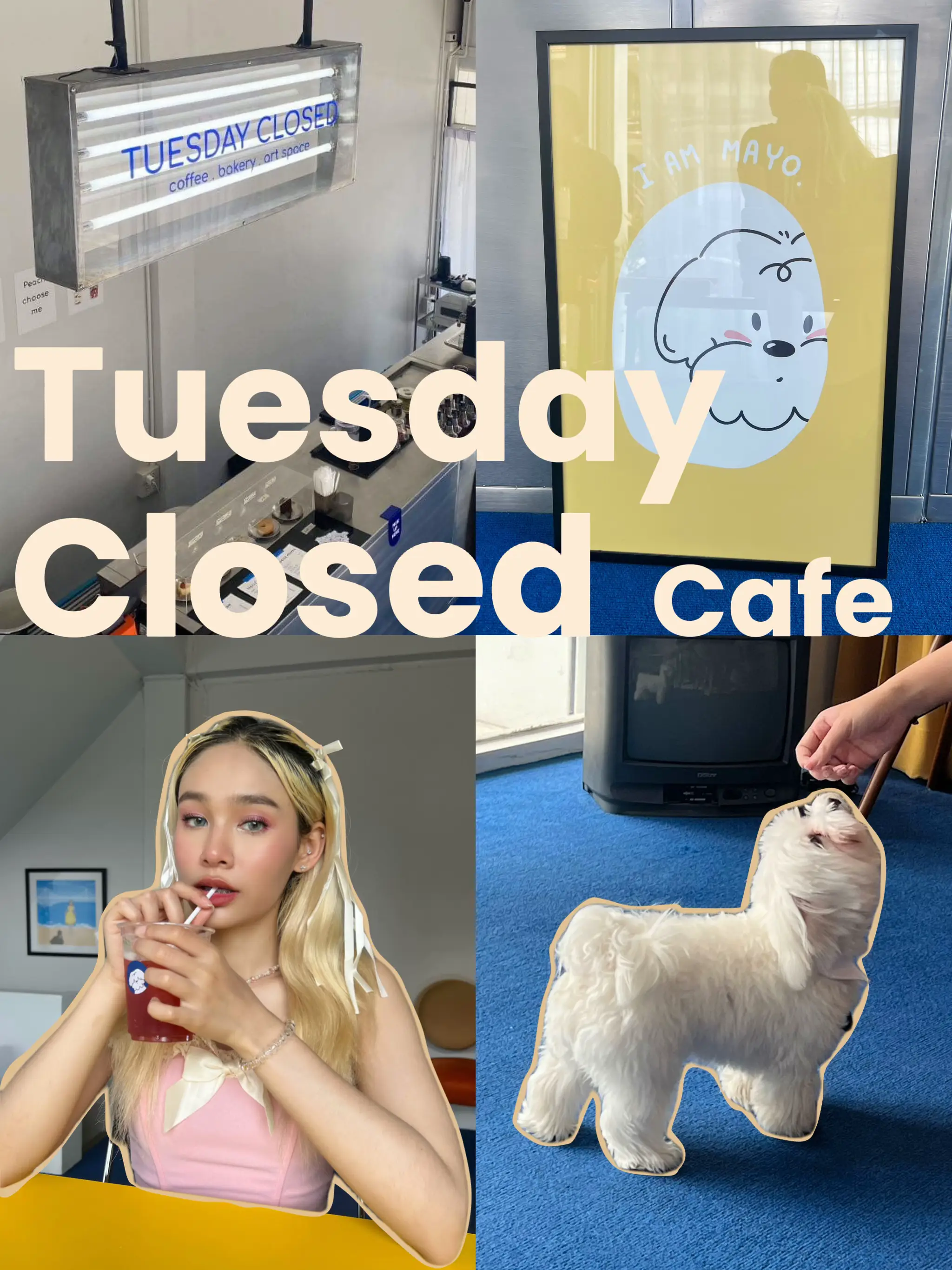 💙Tuesday Closed Cafe 📍เชียงใหม่💛 | แกลเลอรีที่โพสต์โดย Helen 💖 | Lemon8