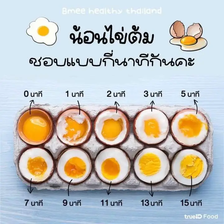 ต้มไข่ต้ม🥚🥚 | แกลเลอรีที่โพสต์โดย Jxn.sm | Lemon8