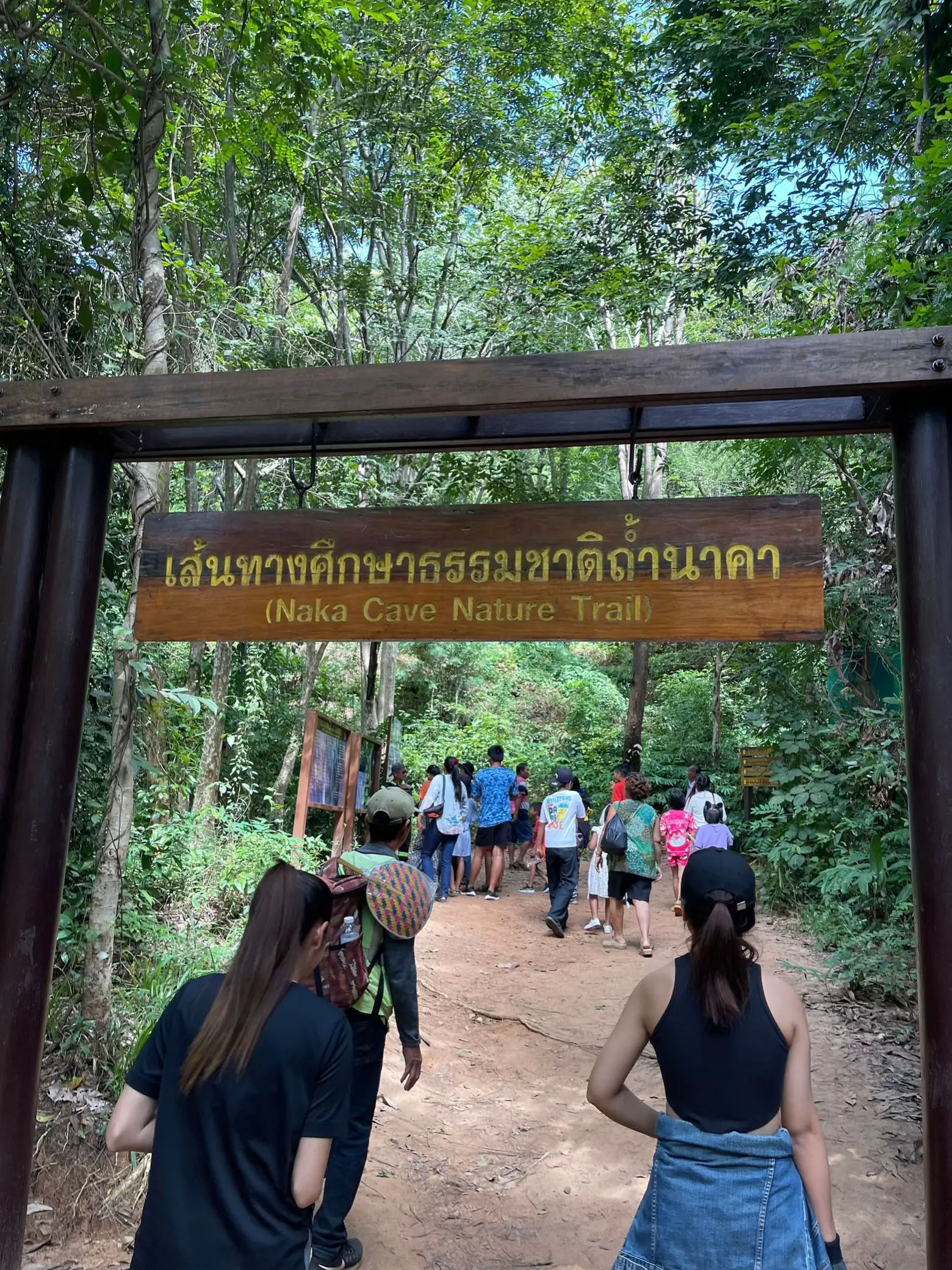 อุทยานแห่งชาติภูลังกา | แกลเลอรีที่โพสต์โดย Pandii | Lemon8