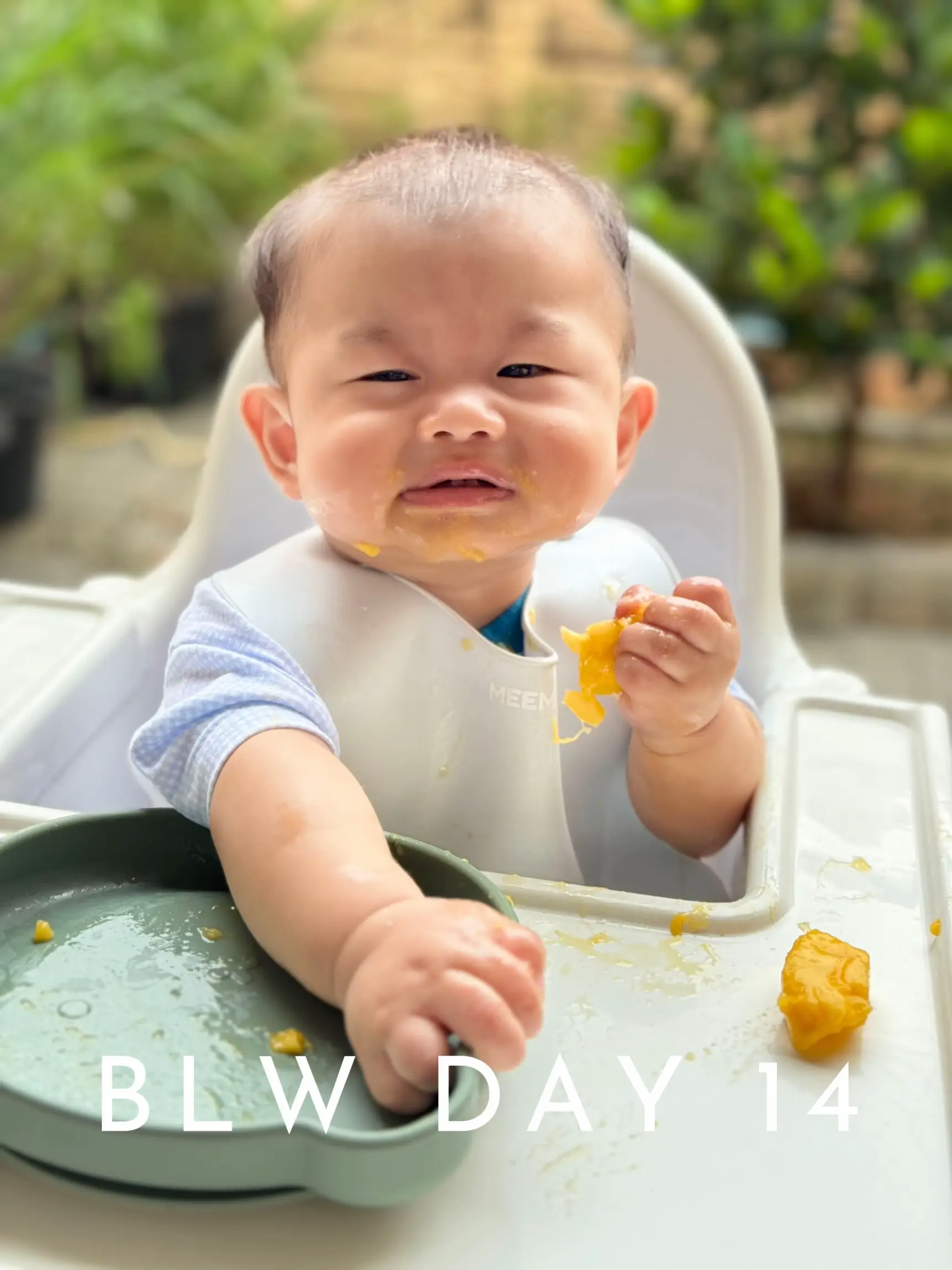 BLW DAY 14 วัย 6 เดือน วันนี้เ | วิดีโอที่เผยแพร่โดย Warasis | Lemon8