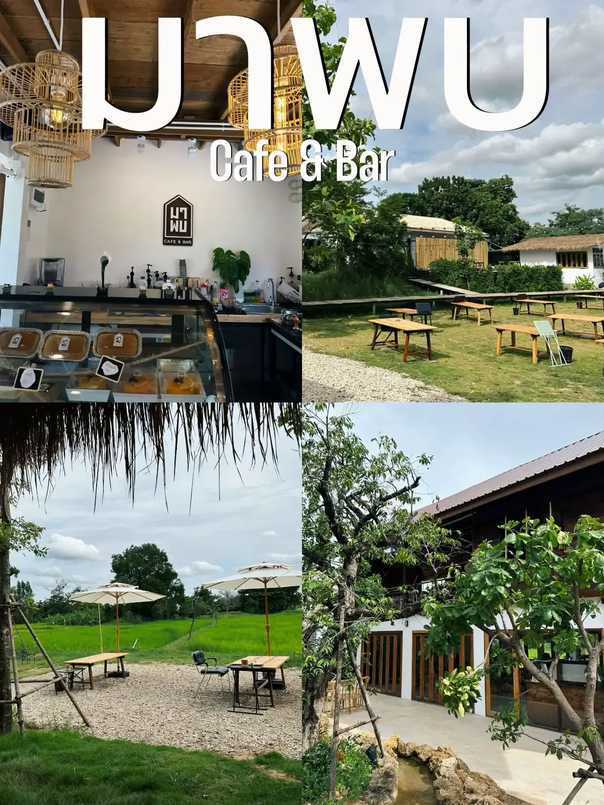 มาพบ cafe & bar | คาเฟ่เปิดใหม่บรรยากาศดีมาก 🌾🍹 | แกลเลอรีที่โพสต์โดย ...