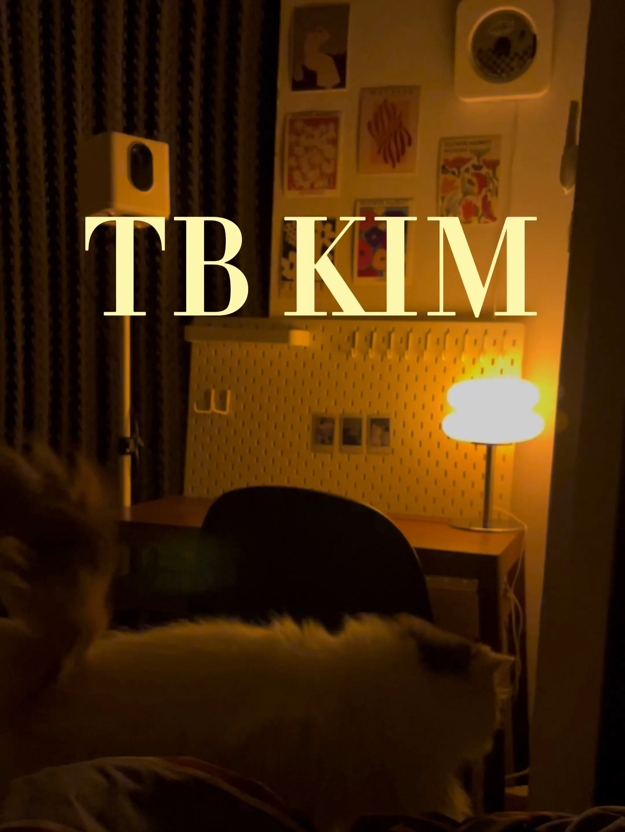 Lamp | วิดีโอที่เผยแพร่โดย TB Kim | Lemon8