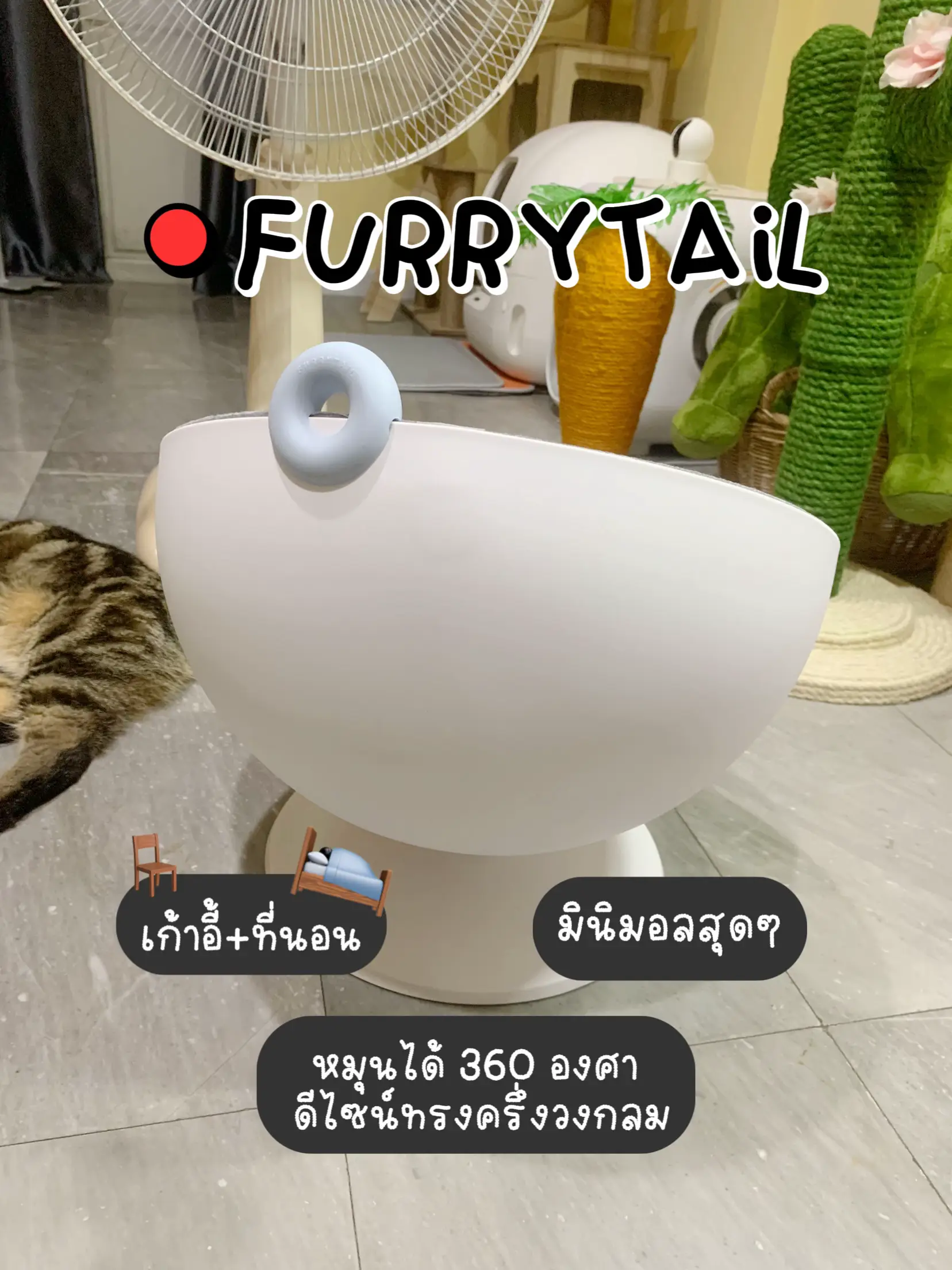 FURRYTAIL BOSS CAT BED 🛌 | แกลเลอรีที่โพสต์โดย เฟรม | Lemon8