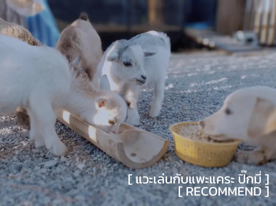 Enjoy the weekend | แกลเลอรีที่โพสต์โดย ASTER KAFE’ | Lemon8