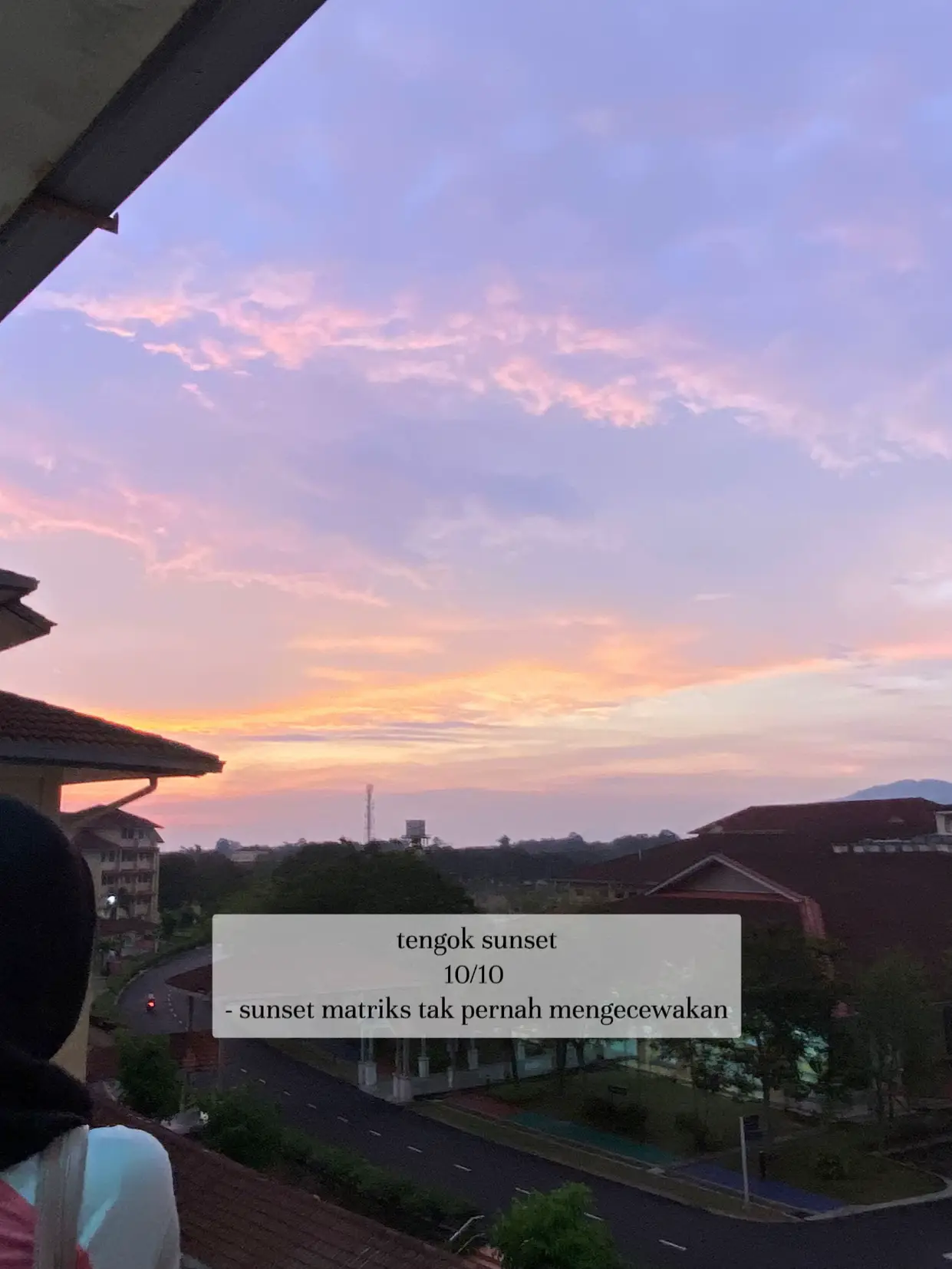 Berryfully Review - Carian Lemon8