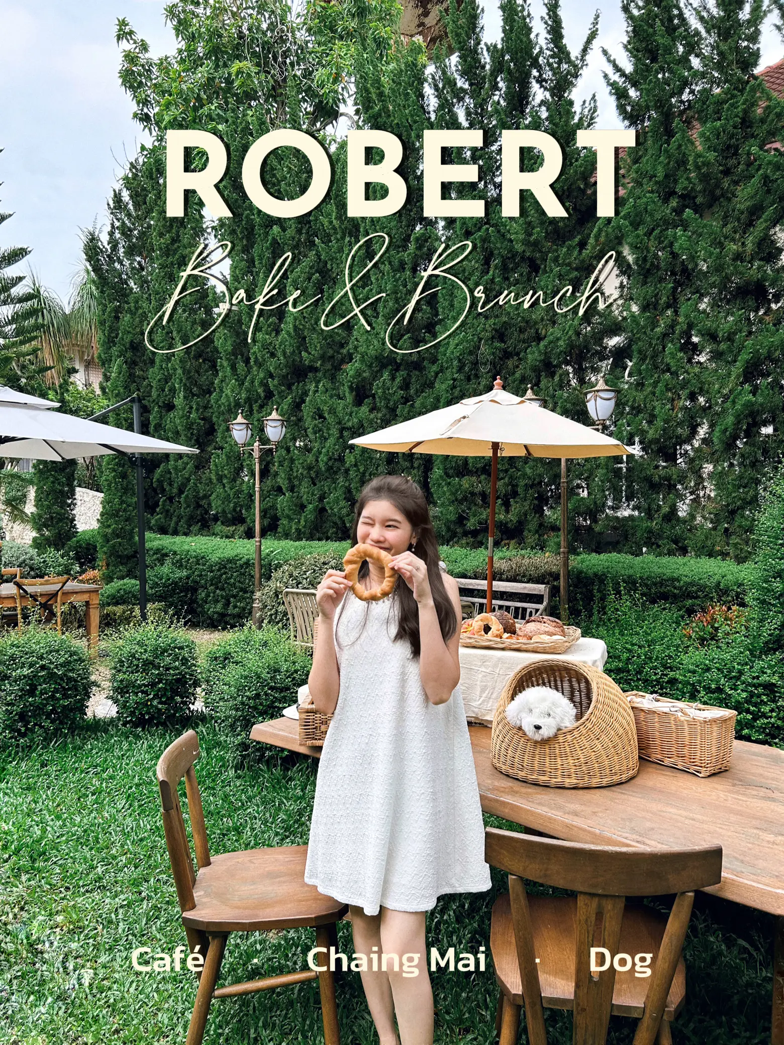 Robert Bake & Brunch : คาเฟ่ในเมืองเชียงใหม่ ฟีลอยู่ ตปท. | แกลเลอรีที่โพสต์โดย ♡ MANOW ♡ | Lemon8