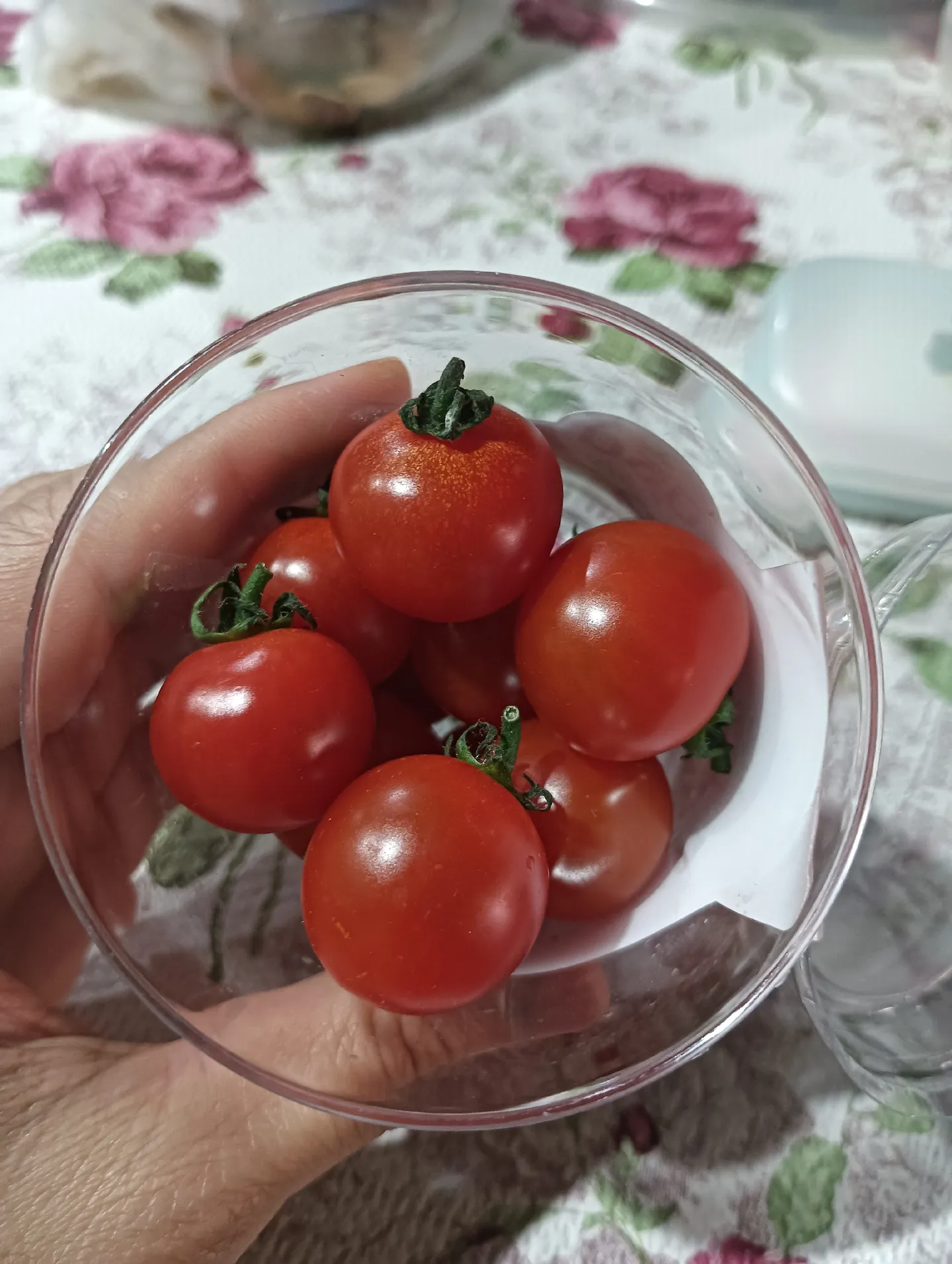 มะเขือเทศ พันธุ์ญี่ปุ่น | แกลเลอรีที่โพสต์โดย Aoy🦋🥕🥯 | Lemon8