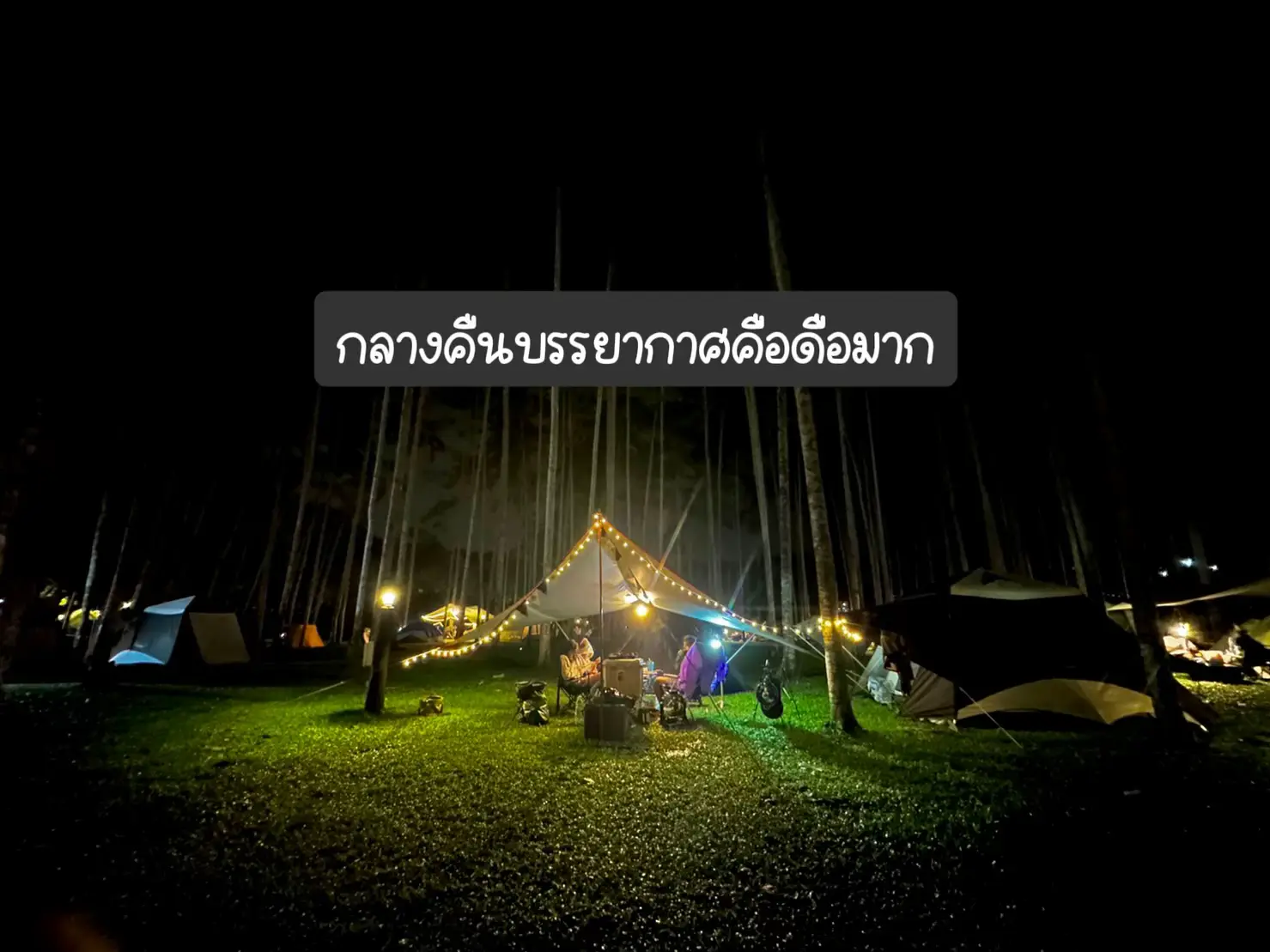 Na-wana ณ วนา | Gallery posted by Panchanok | Lemon8