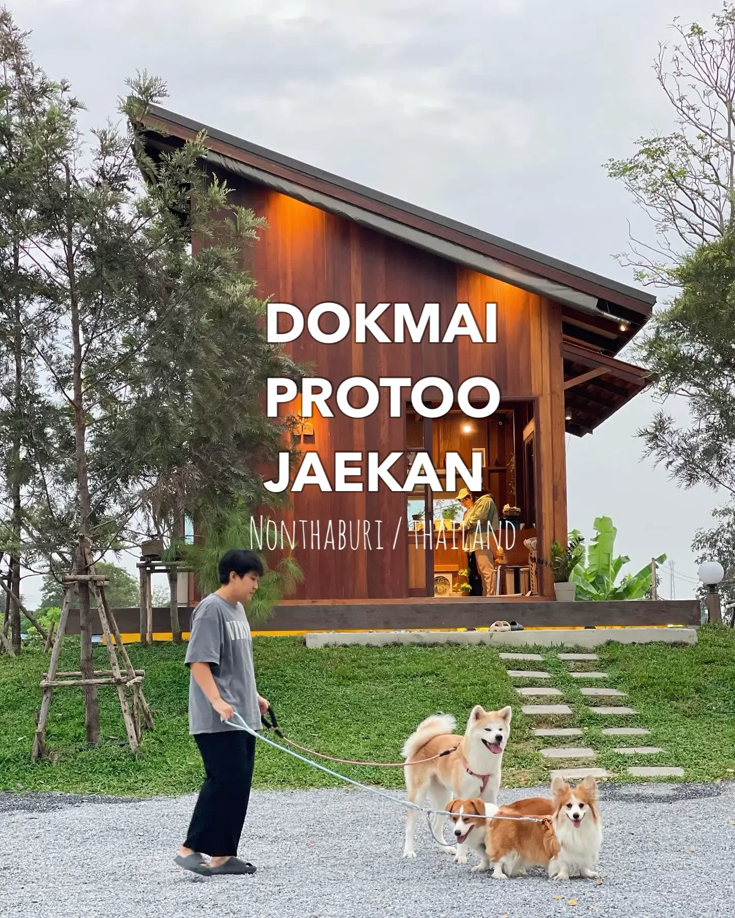 คาเฟ่เปิดใหม่ย่านนนทบุรี 🌾 🐾🐕 | แกลเลอรีที่โพสต์โดย ̈ ρ | Lemon8