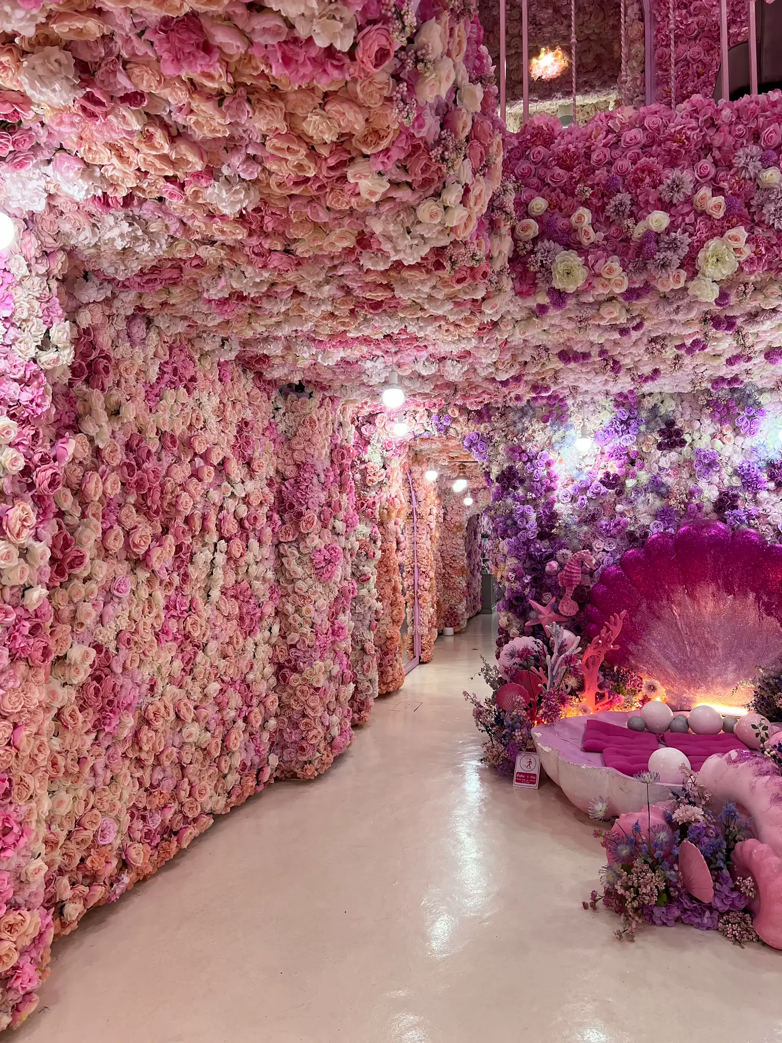 Kor Ra Kang Cafe | แกลเลอรีที่โพสต์โดย 🕊Dadah🕊 | Lemon8