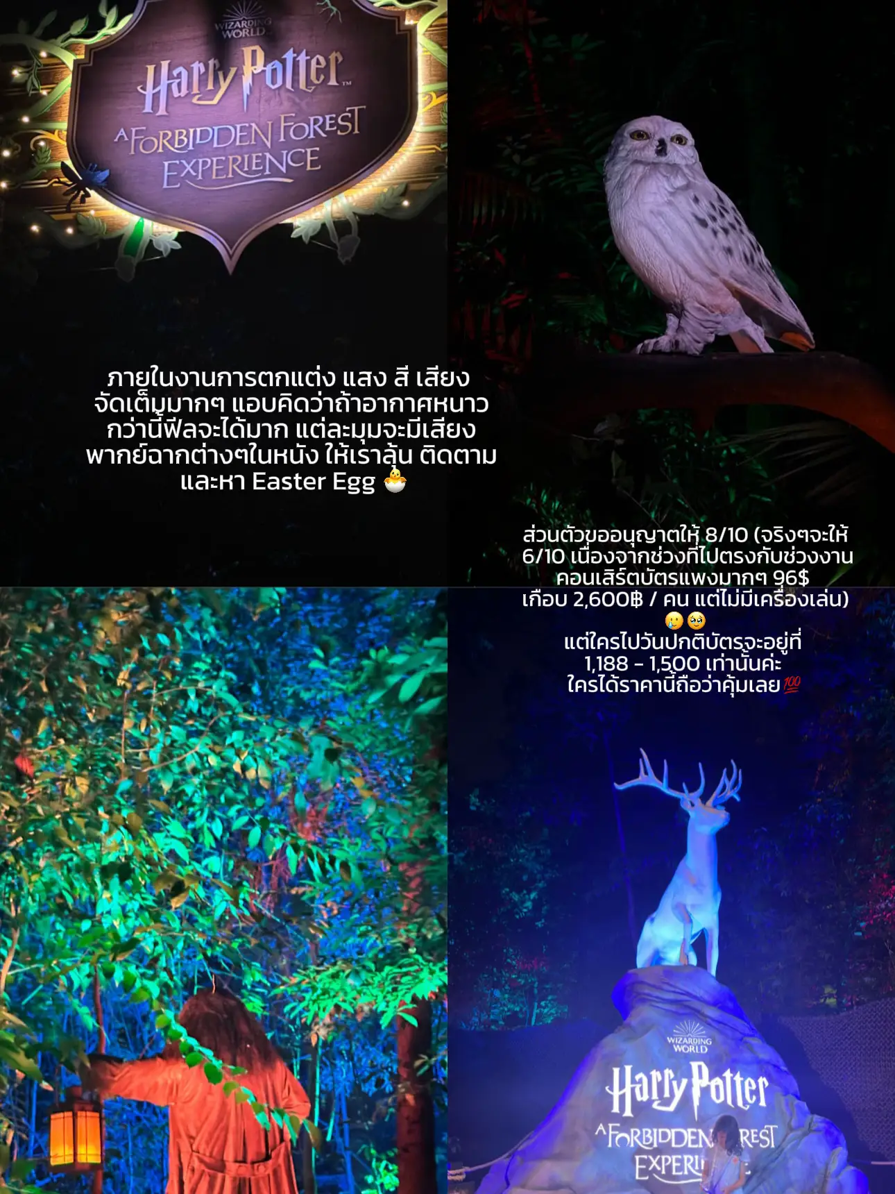 ⚡️รีวิว Harry Potter Forbidden Forest 🌳🚫🪄🇸🇬 | แกลเลอรีที่โพสต์โดย ...