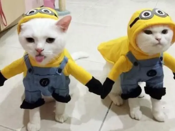 Matchy profile pic ideas with your partner 😜 | Galeri disiarkan oleh ...