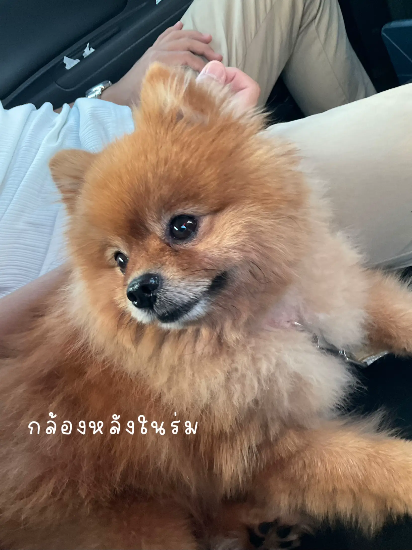 AIR 4 IPAD Camera Review | Gallery posted by Kanphitcha | Lemon8