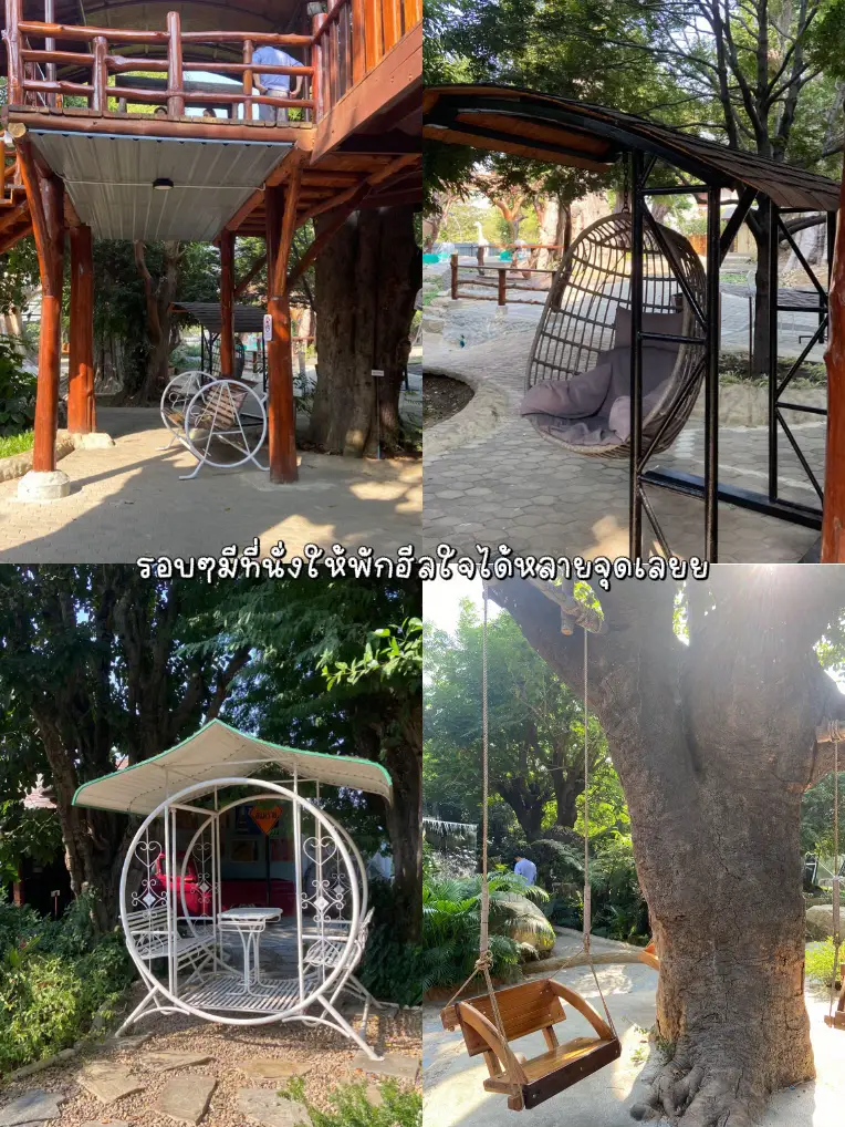 🌳Heal Jai Cafe "The Gardener Cafe" Pathum Thani, Three Hump🌳 | Gallery ...