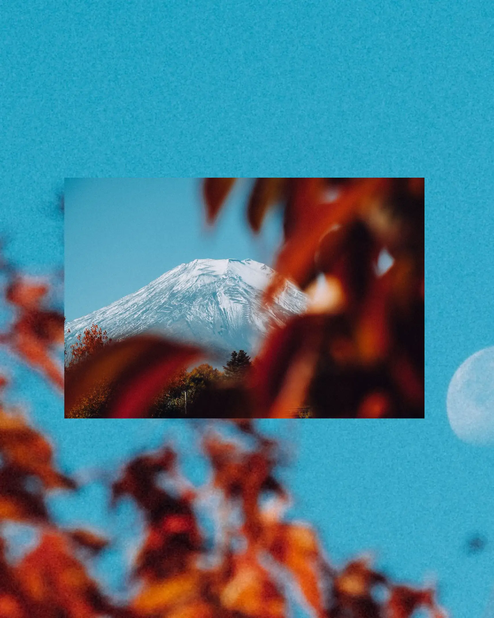 Magic with autumn leaves | Gallery posted by Benjamin | Lemon8