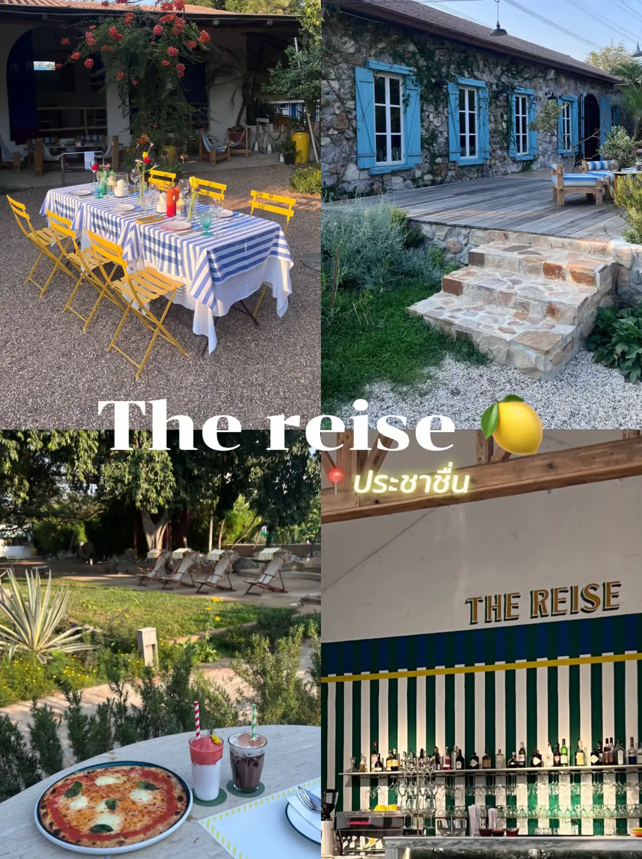 The reise 🍋 | แกลเลอรีที่โพสต์โดย paeng 💐 | Lemon8