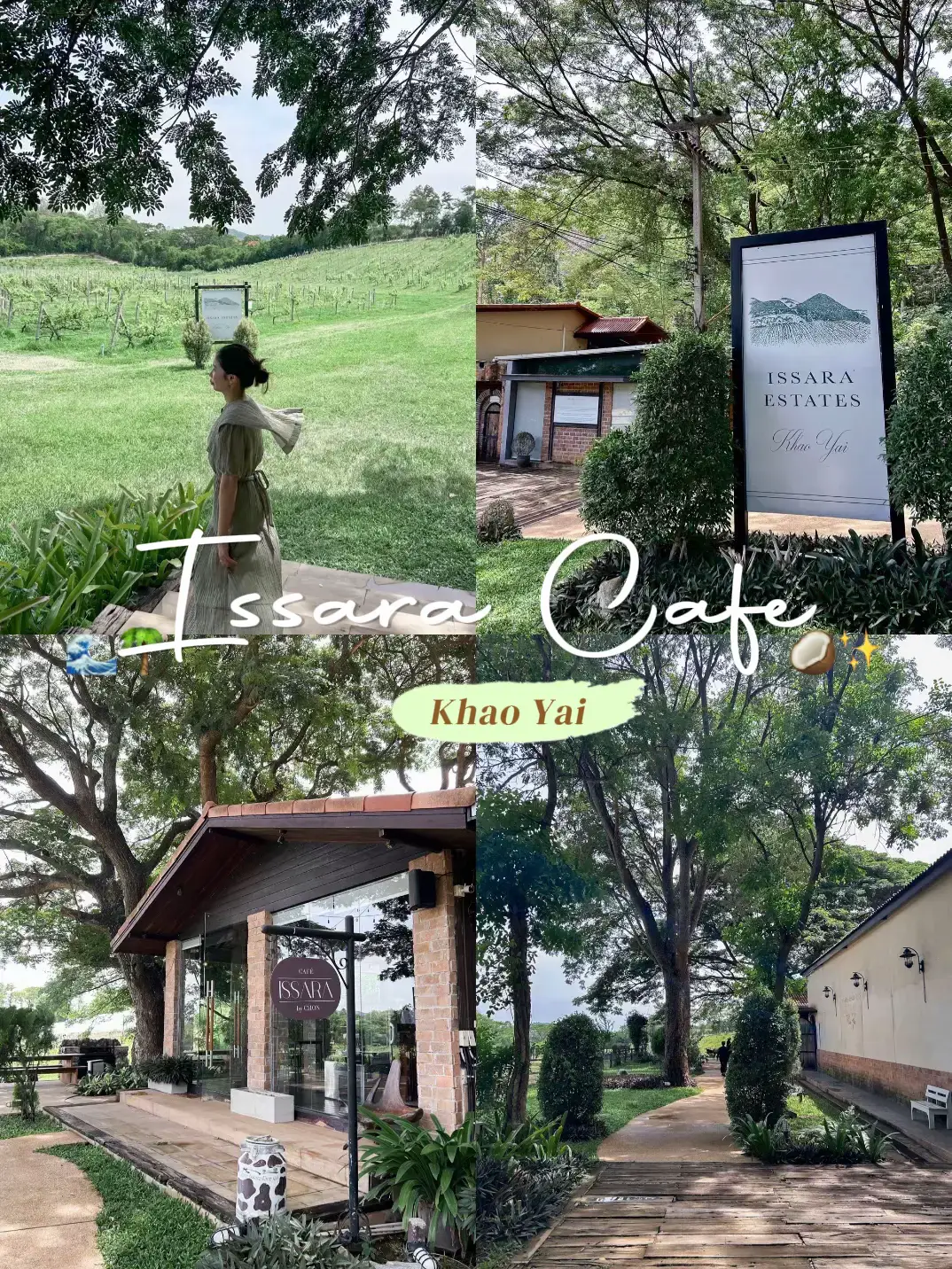 Issara Cafe Khao yai : คาเฟ่อิสระ คาเฟ่ที่อยู่ในไร่องุ่น 🍇 | แกลเลอรี ...
