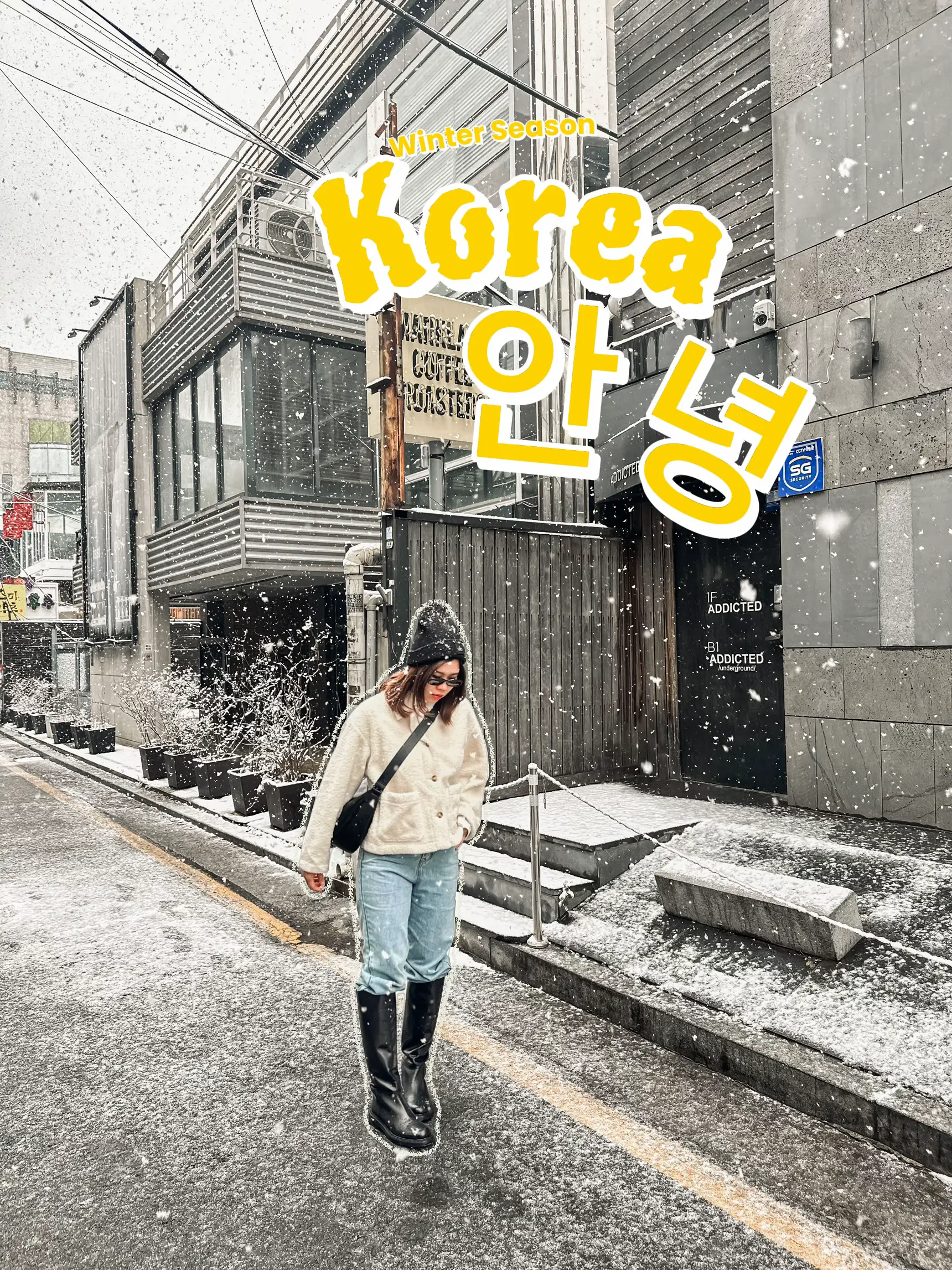Winter Season in Korea | แกลเลอรีที่โพสต์โดย My Oraphan | Lemon8