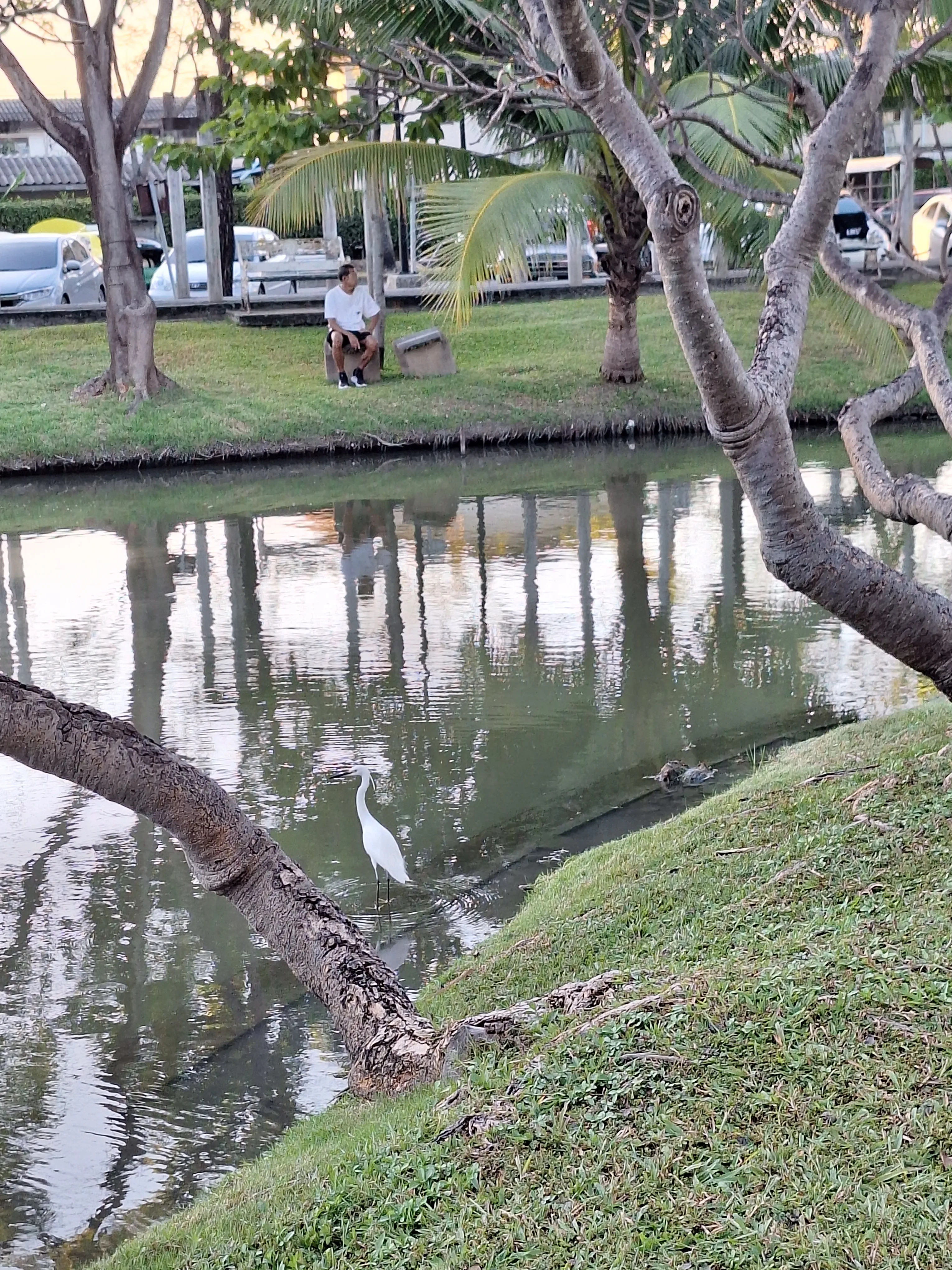 เที่ยวสวน ลาดกระบัง | แกลเลอรีที่โพสต์โดย formyself | Lemon8