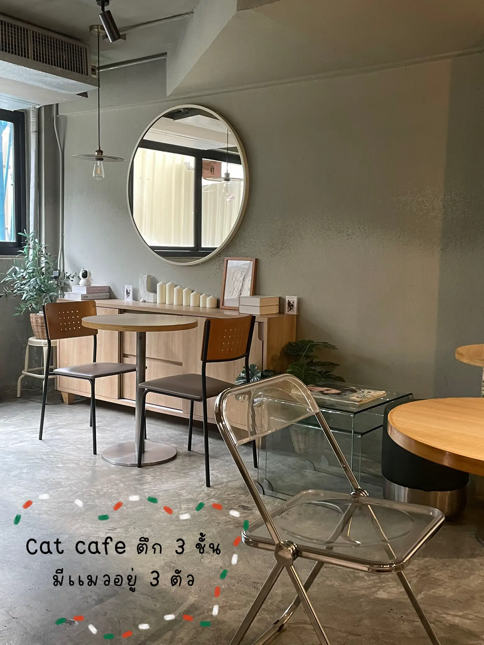 เที่ยว cafe เเมว entree coffee & brunch🐈☕️ | แกลเลอรีที่โพสต์โดย belle😻 ...