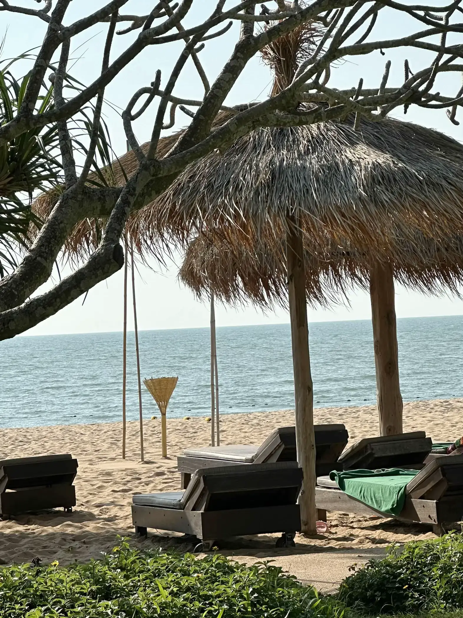 Good old sea beach คาเฟ่ติดริมหาดพัทยา🏝️🍉🌺.* | แกลเลอรีที่โพสต์โดย nut🌺 ...