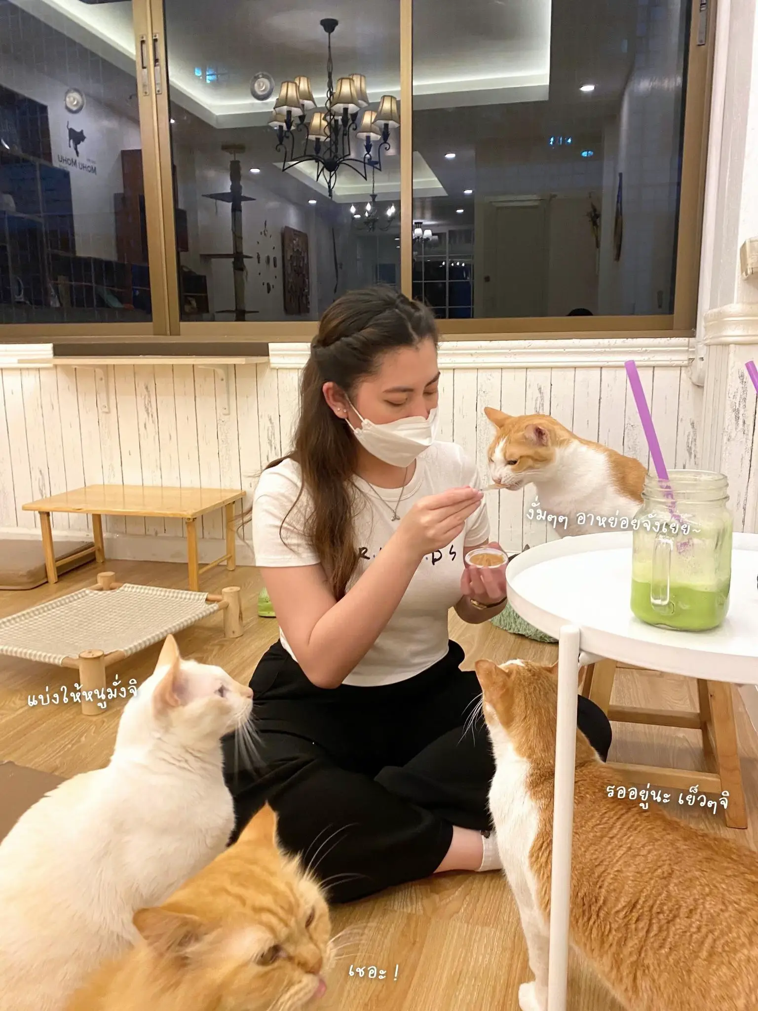 I'll sing it soon ~ 🐈 | Gallery posted by •ᴥ• ชานก (cn) ♡ | Lemon8