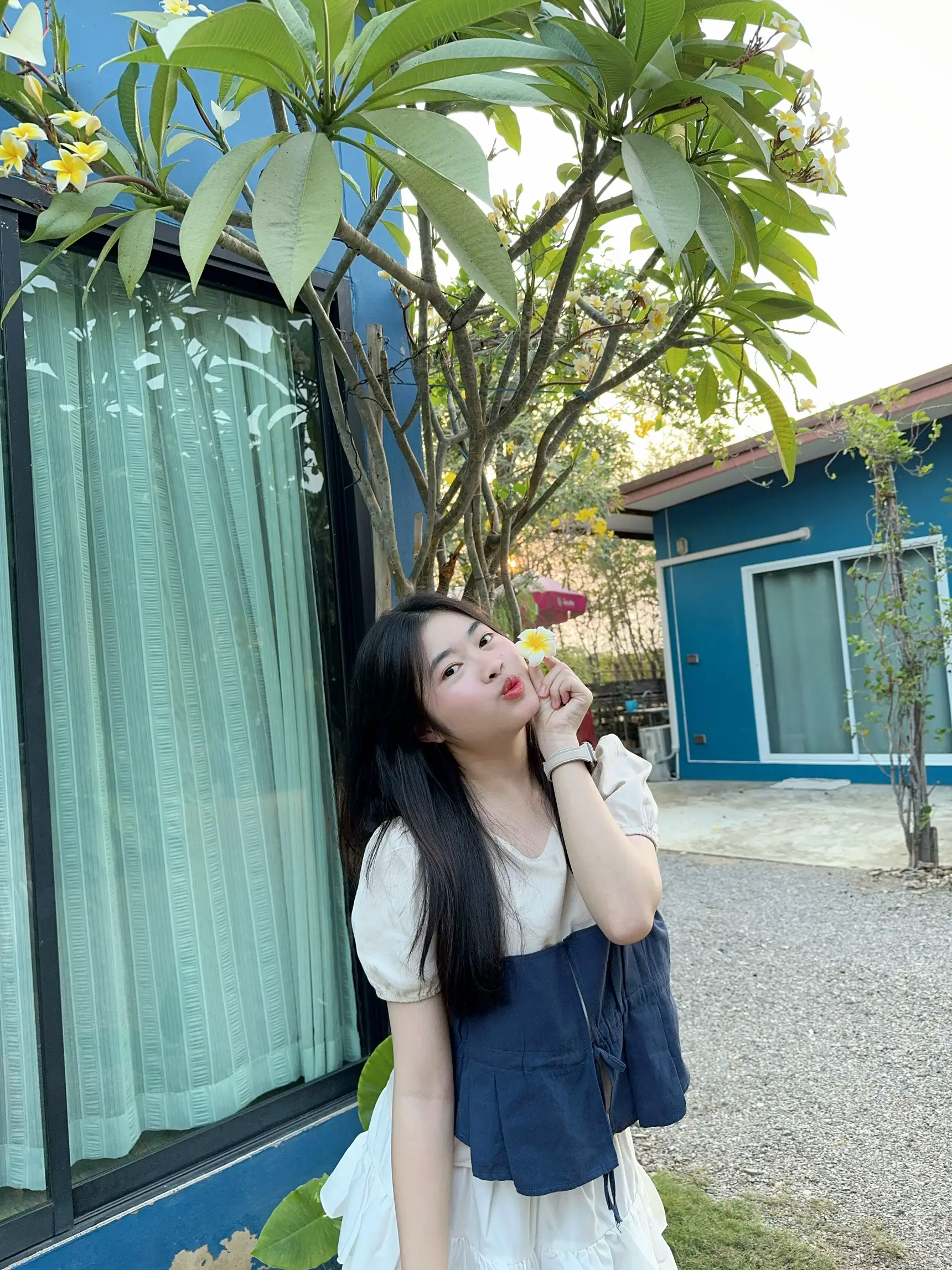 ถ่ายรูปกับดอกไม้น่ารักๆ💖 | แกลเลอรีที่โพสต์โดย Smita Mita🌻 | Lemon8