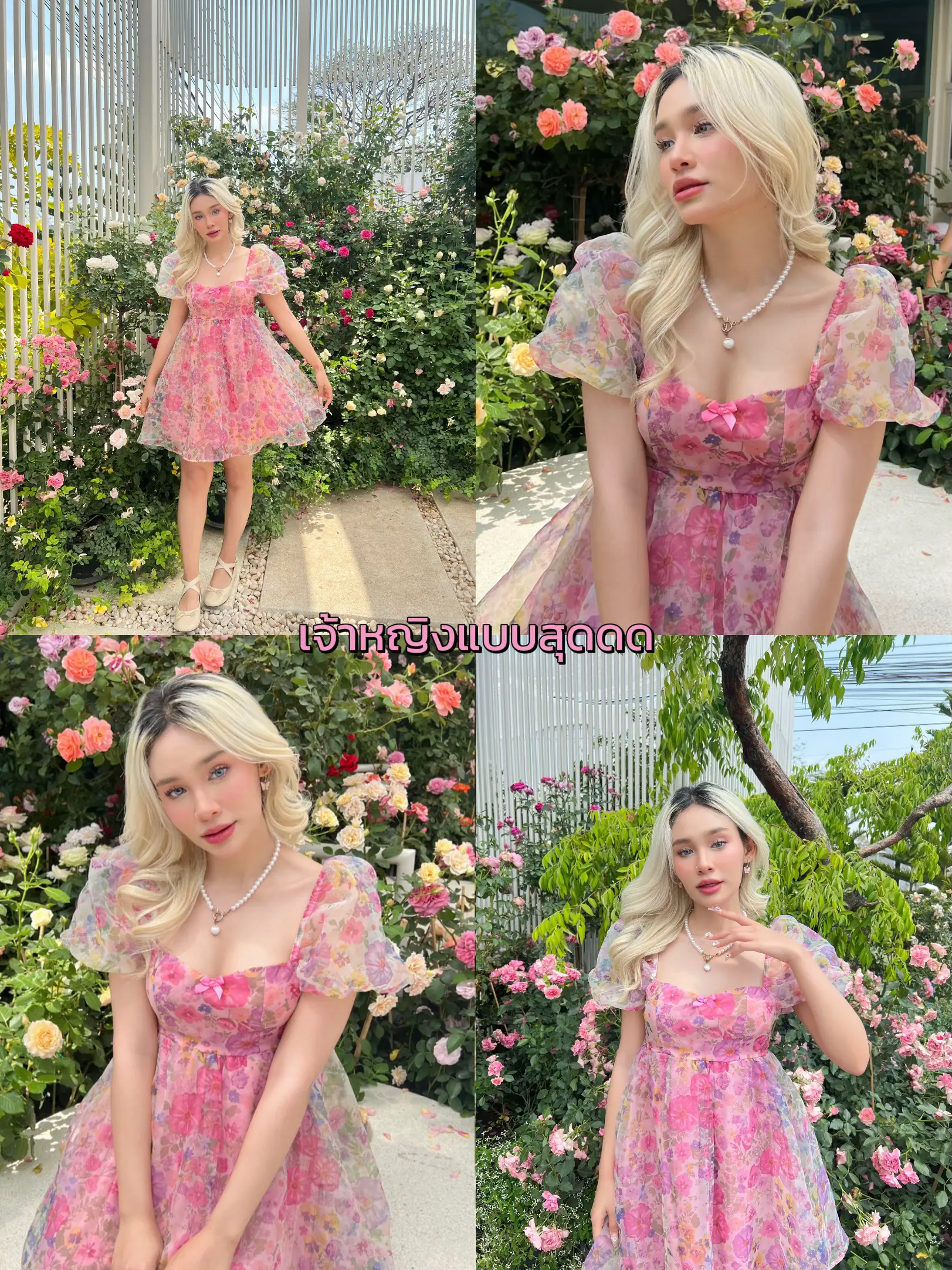 💐คาเฟ่กุหลาบเชียงใหม่🌹 Kaffe Cheewan🎀 | แกลเลอรีที่โพสต์โดย Helen 💖 | Lemon8