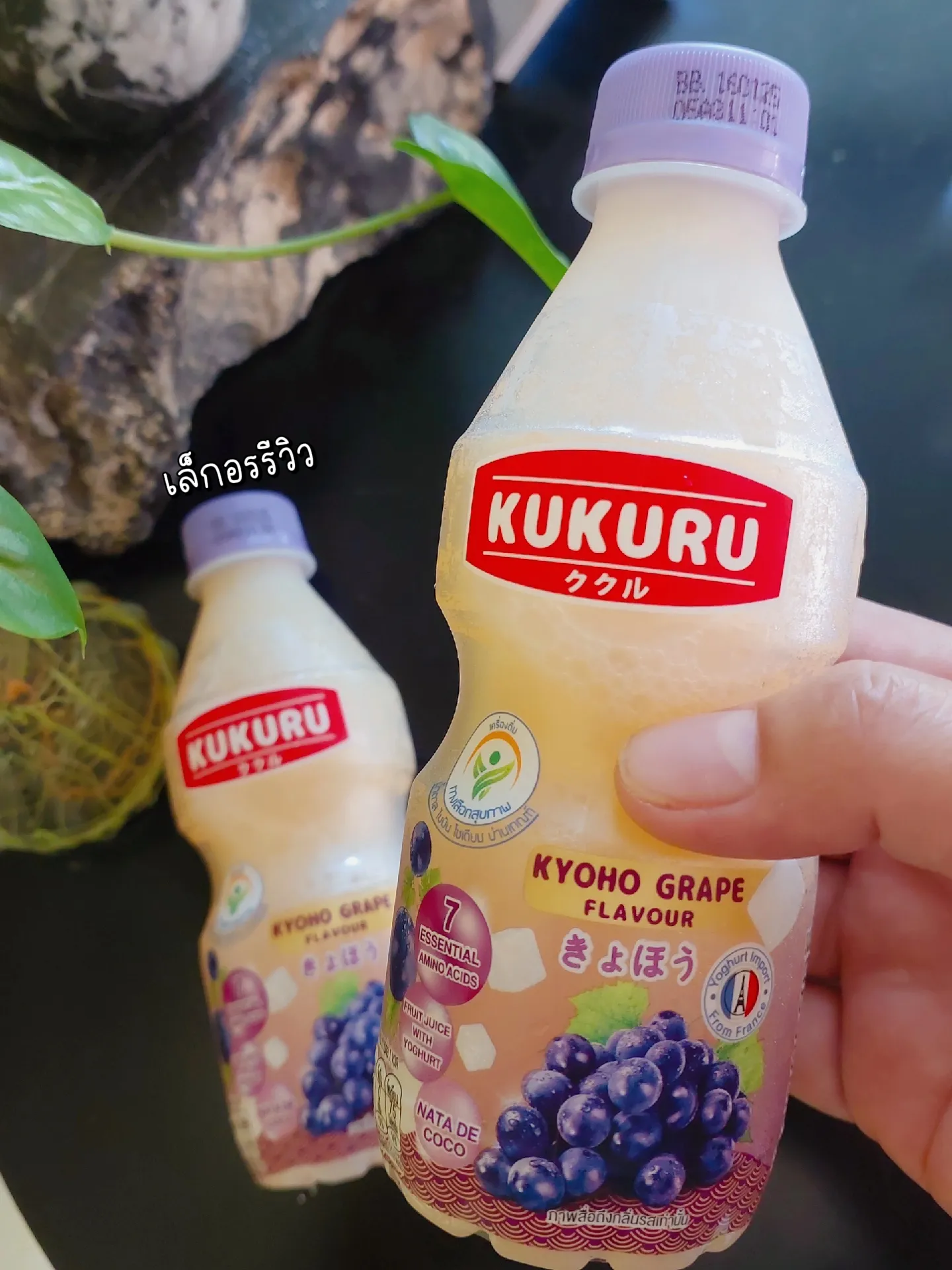 KUKURU KYOHO GRAPE🍇 | แกลเลอรีที่โพสต์โดย OnprapaS | Lemon8
